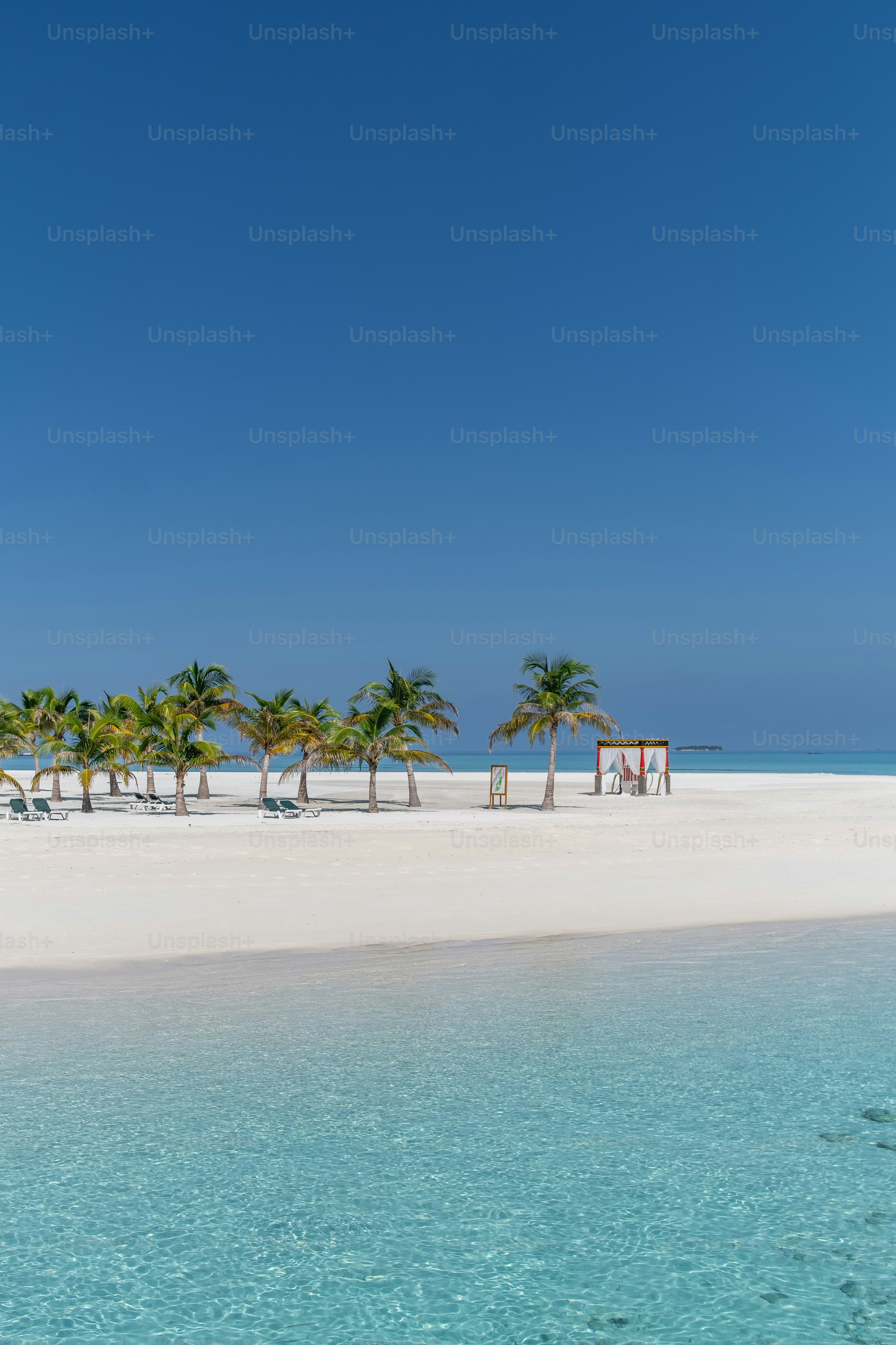 A white sandy beach with palm trees and clear water photo – Maldives ...