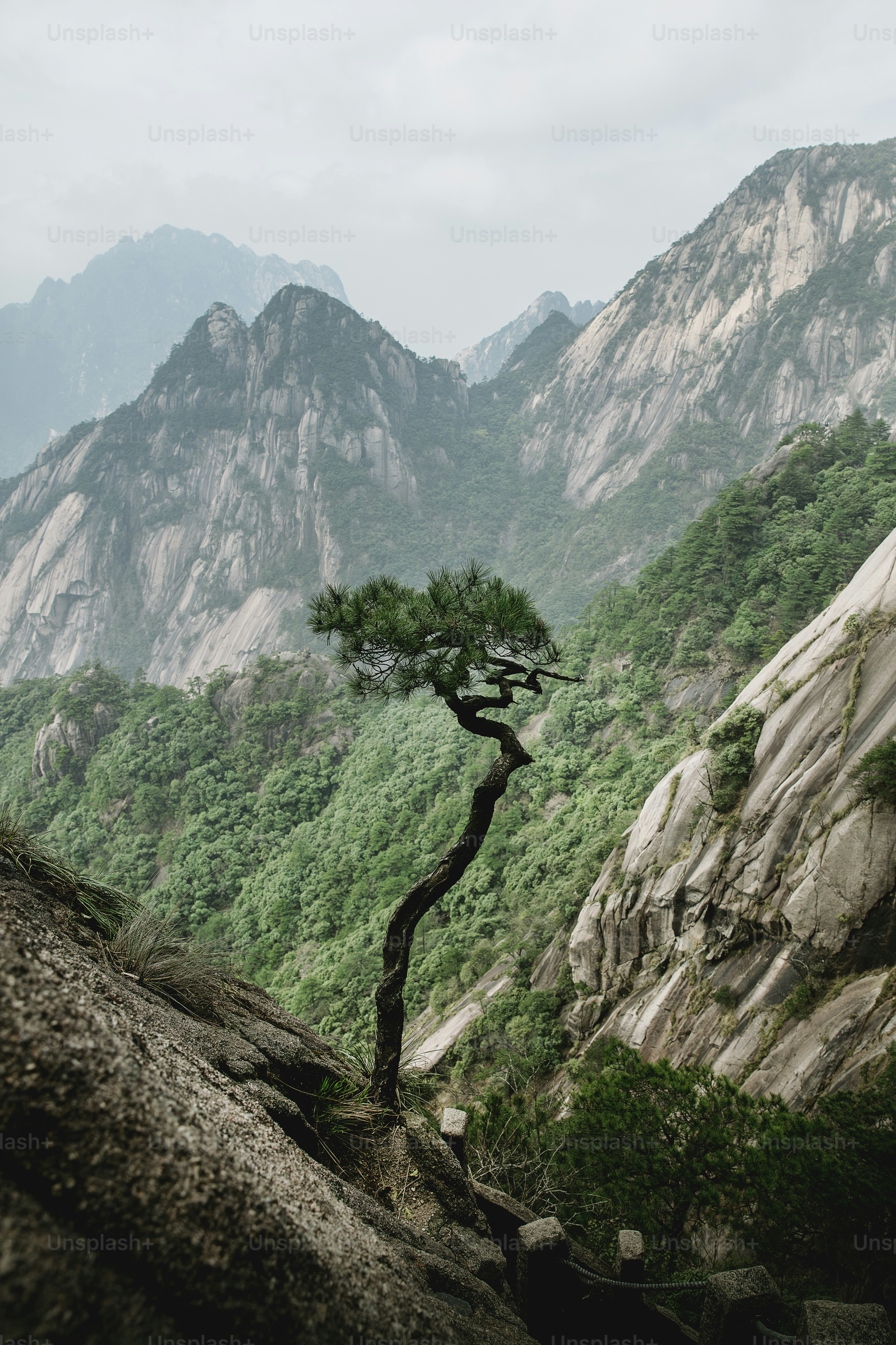 A lone tree in the middle of a mountain range photo – China Image on ...