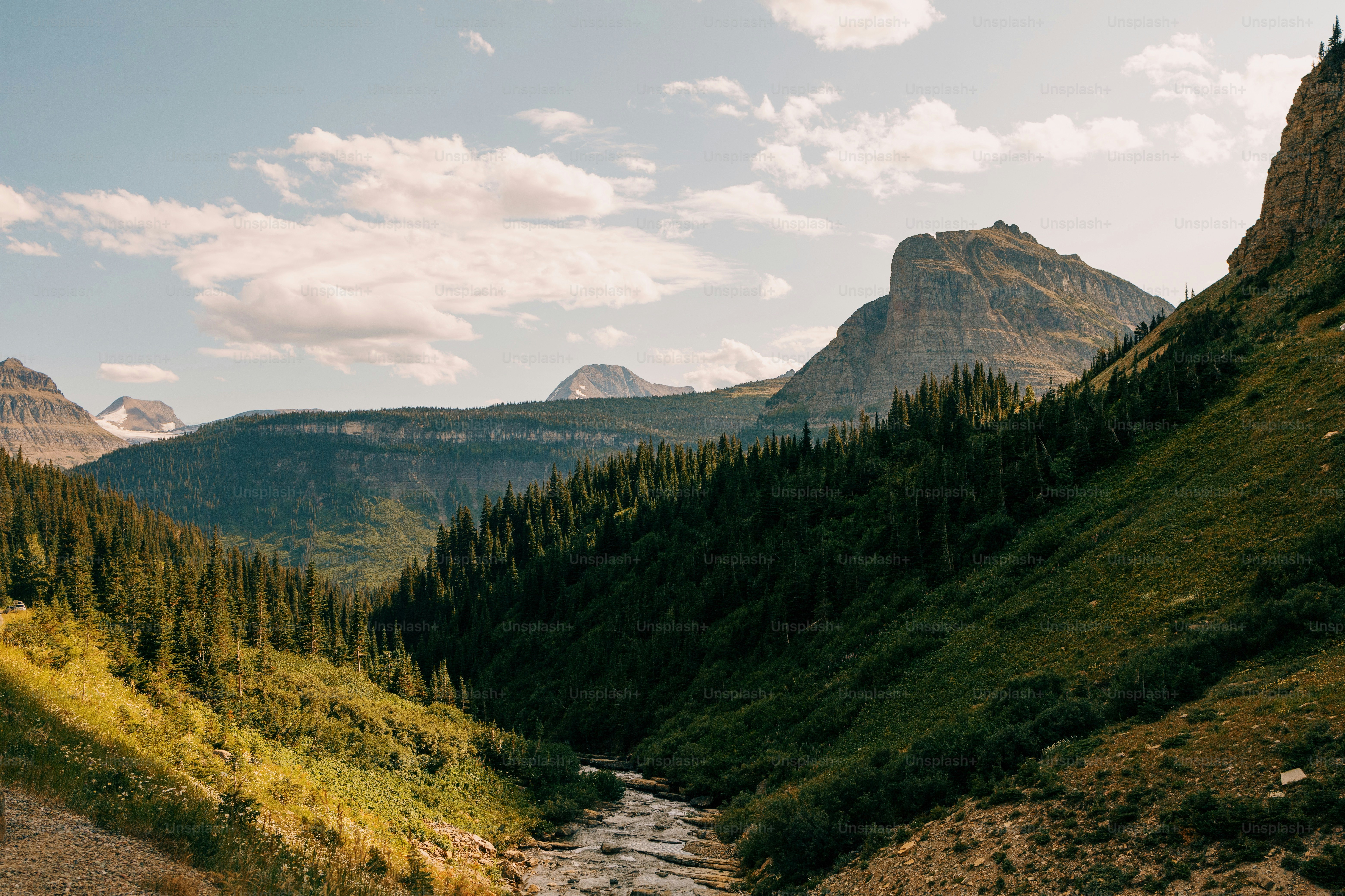 Une rivière qui traverse une vallée verdoyante photo – Etats-Unis Photo ...