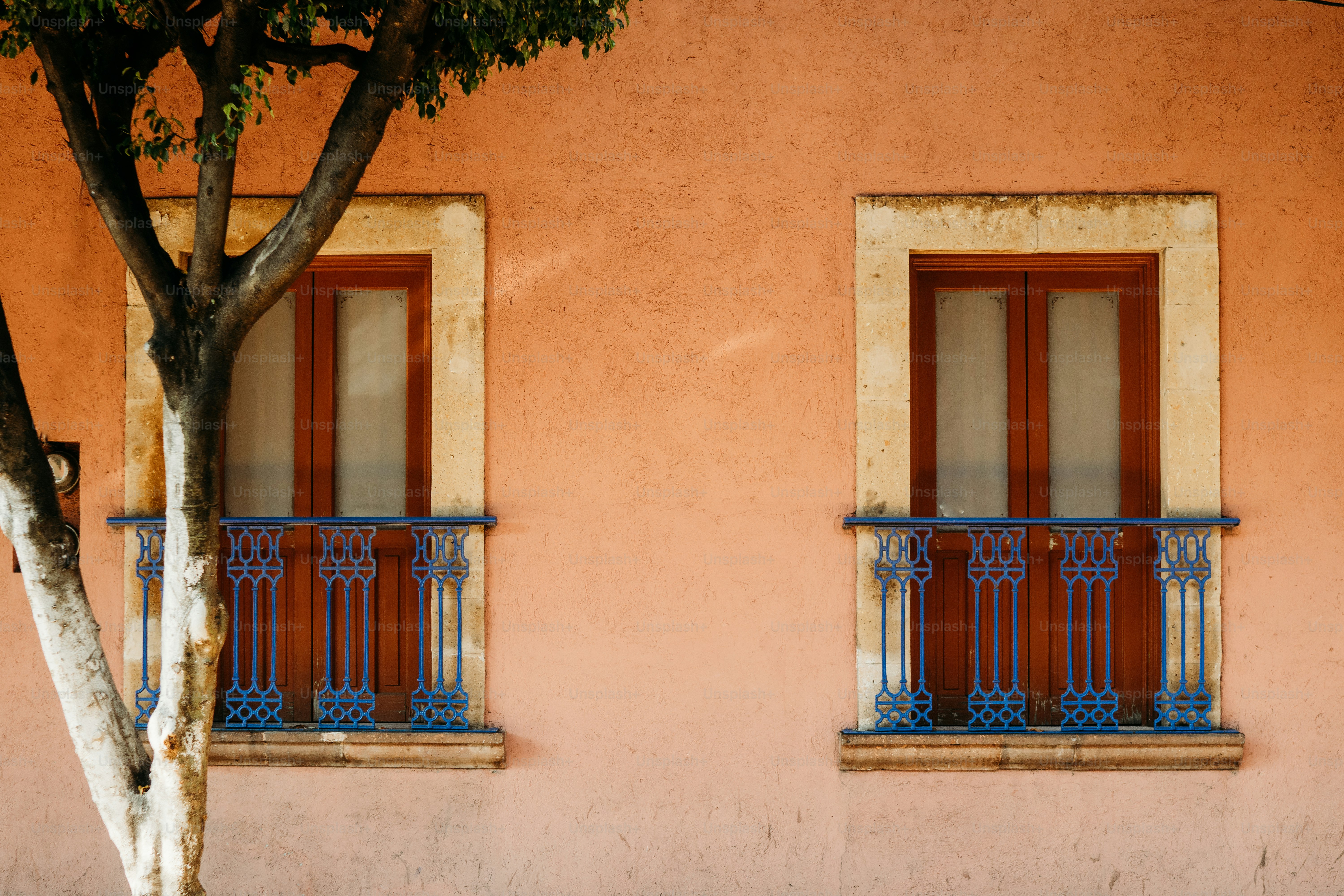 Un árbol frente a un edificio con dos ventanas foto – Imagen de León en ...