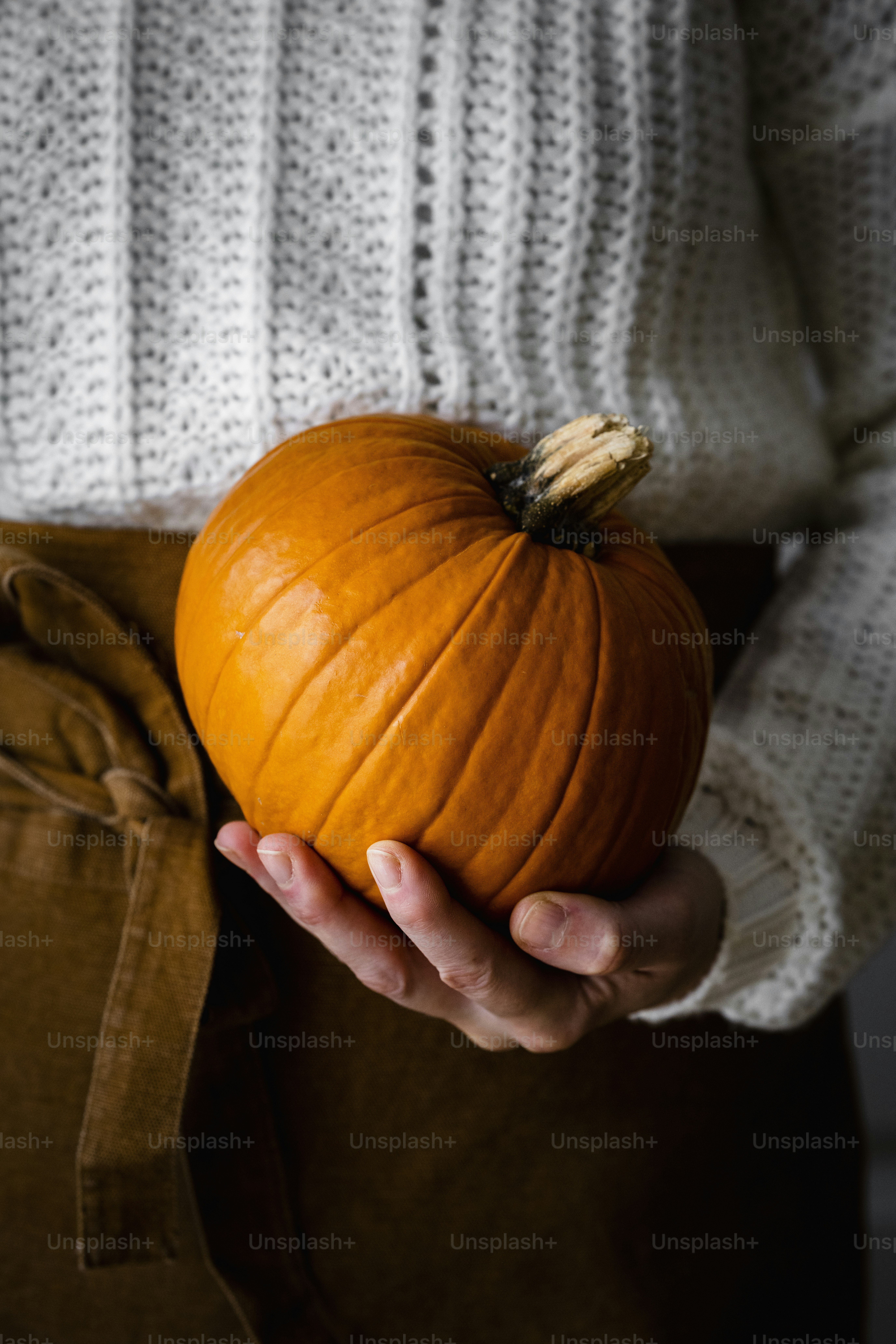 A person holding a pumpkin in their hands photo – Pumpkin Image on Unsplash
