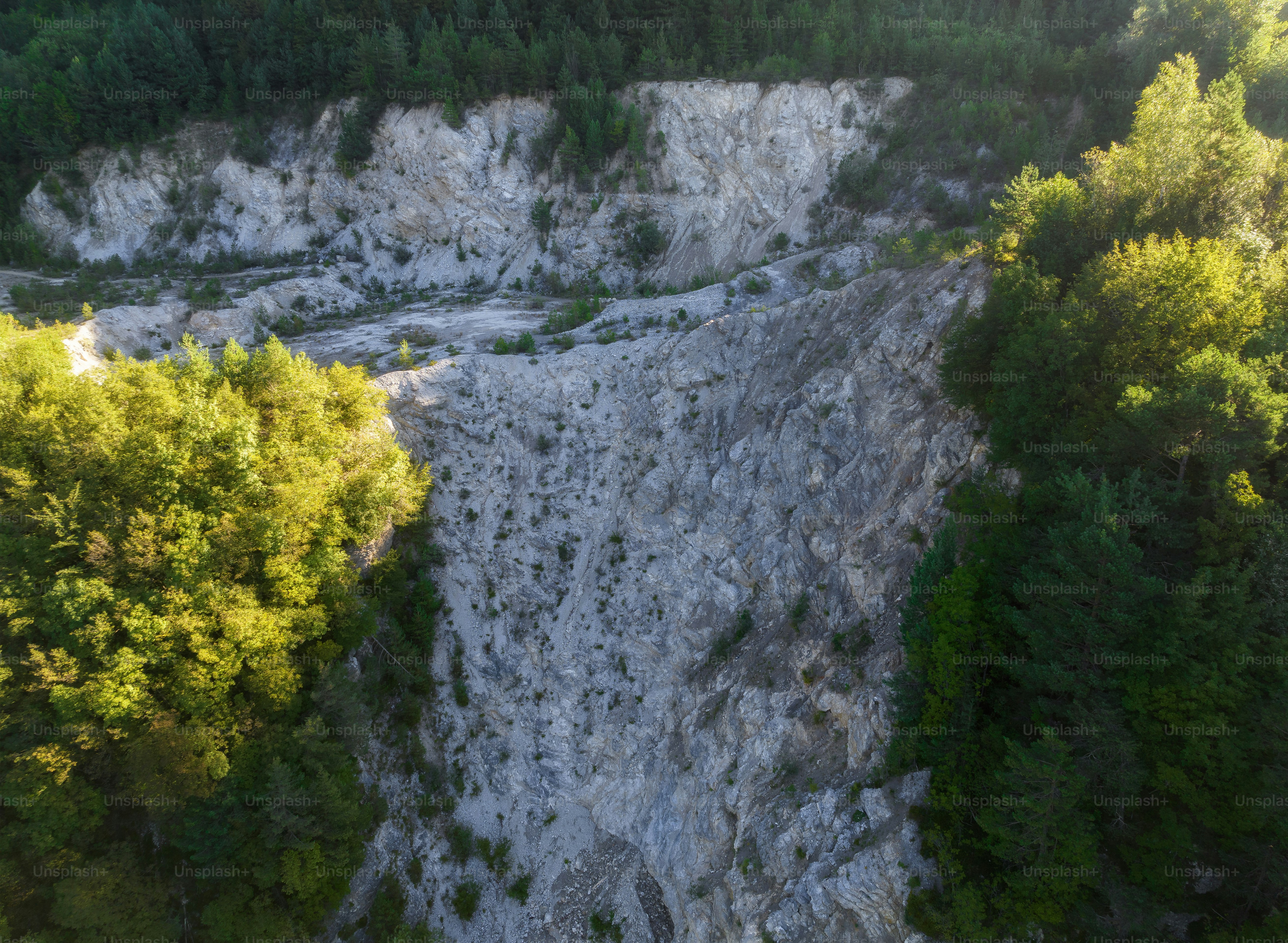 Une vue aérienne d’une zone rocheuse avec des arbres photo – Image de ...