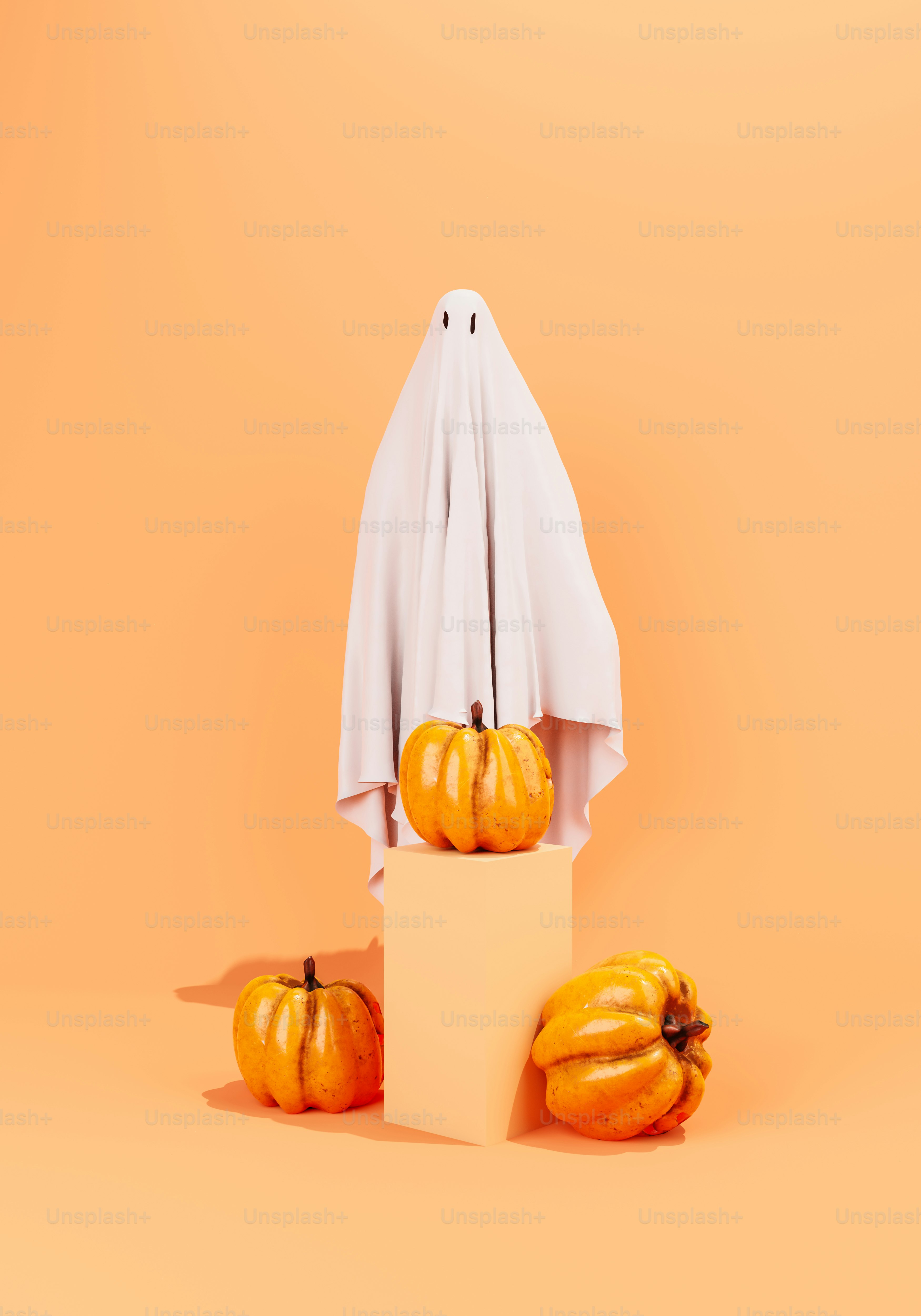 A group of pumpkins sitting on top of a cardboard box photo – Ghost ...