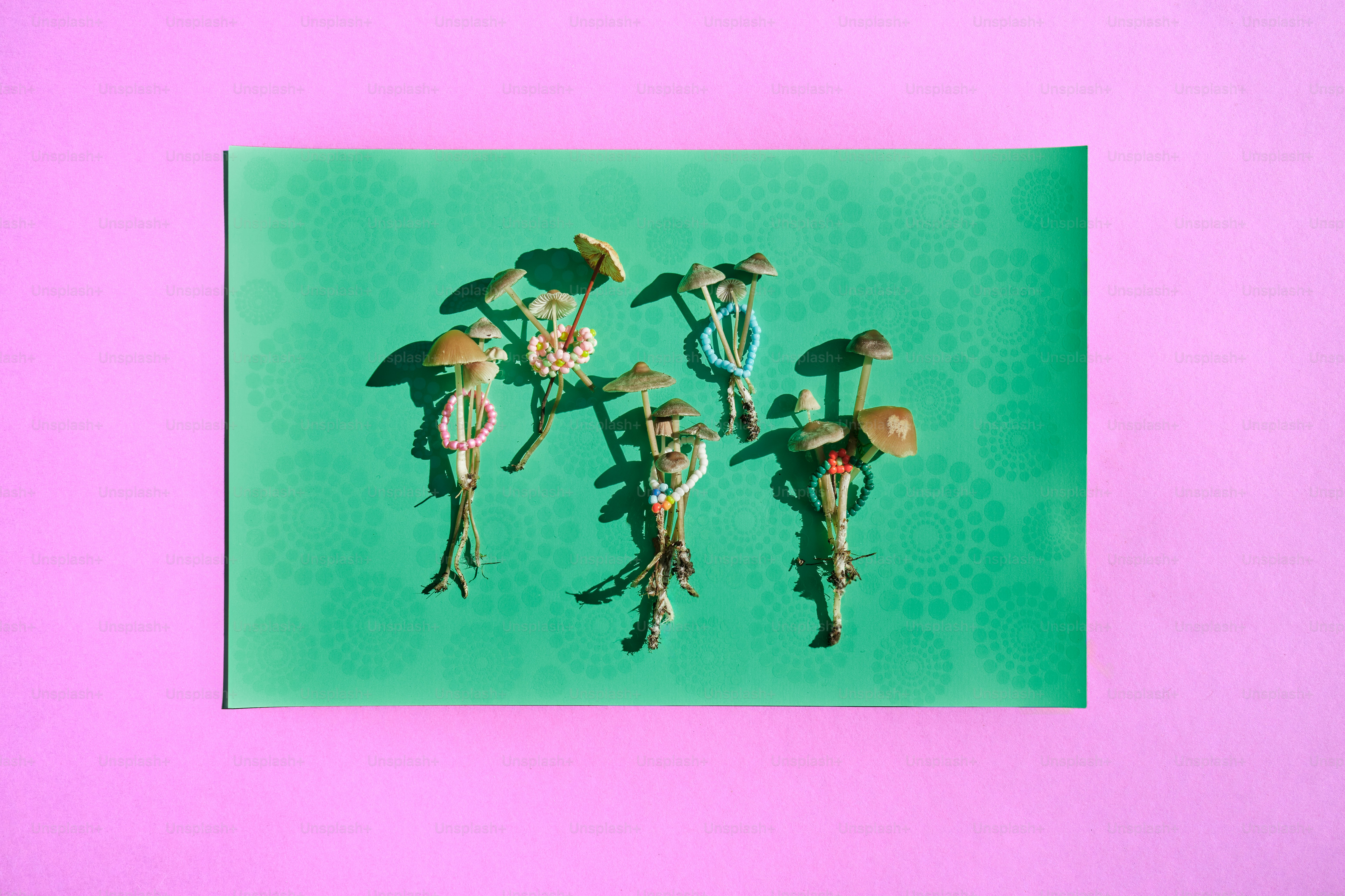 Foto Una foto de un grupo de personas con hongos en la cabeza ...