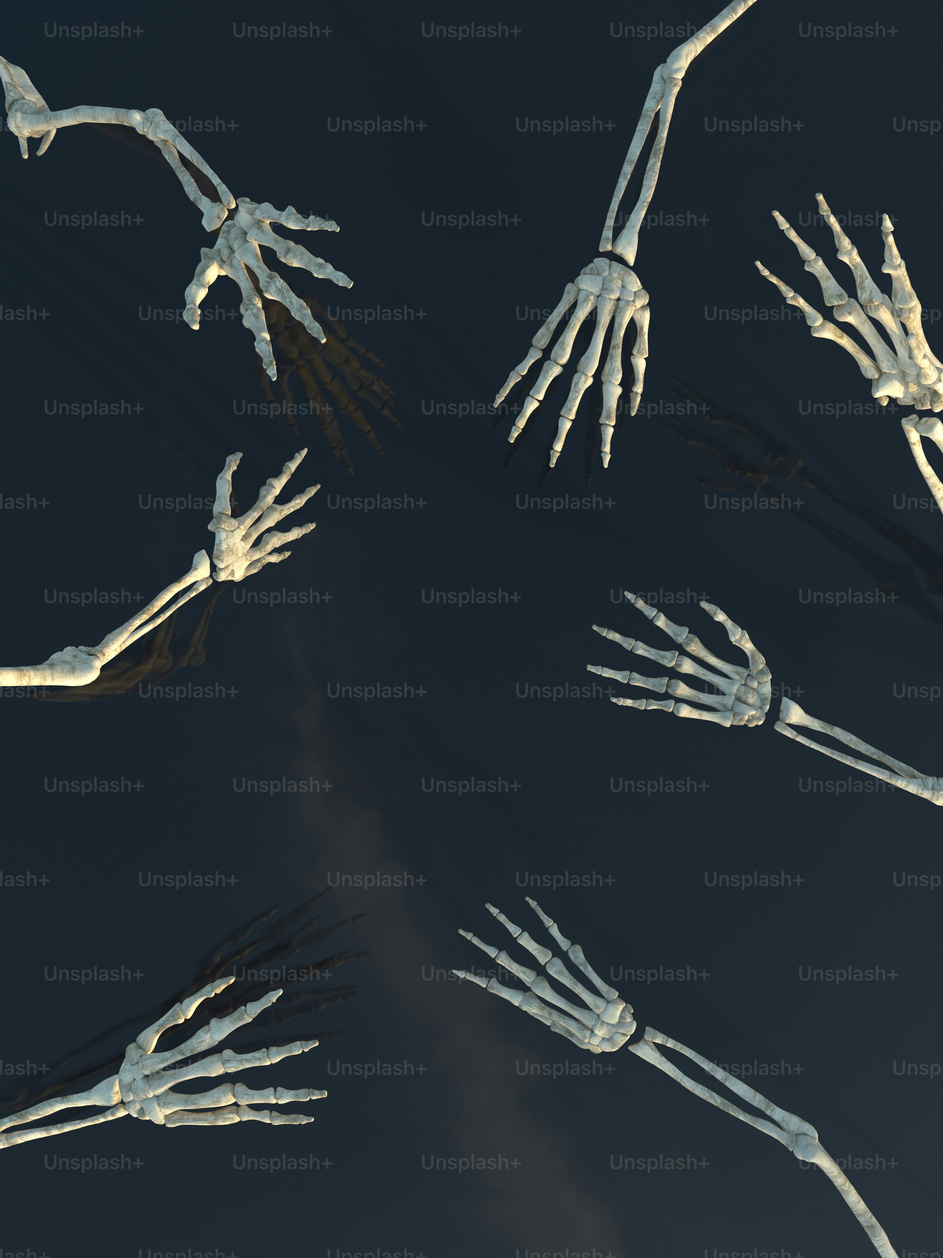 Skeleton Hand Pictures | Download Free Images on Unsplash
