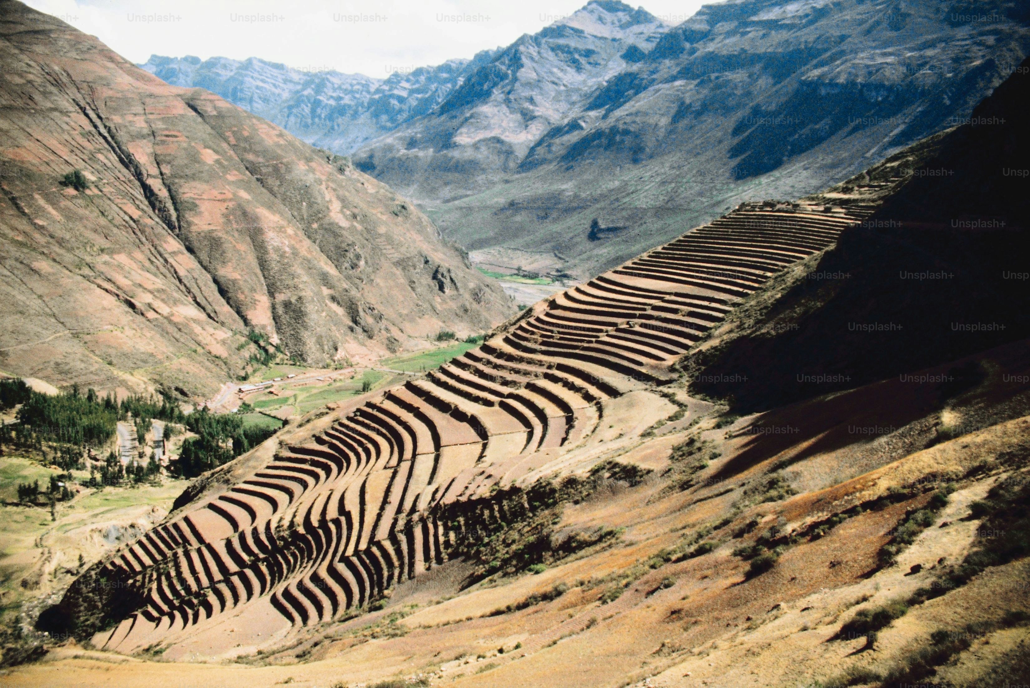 Terraced Fields Pictures | Download Free Images on Unsplash