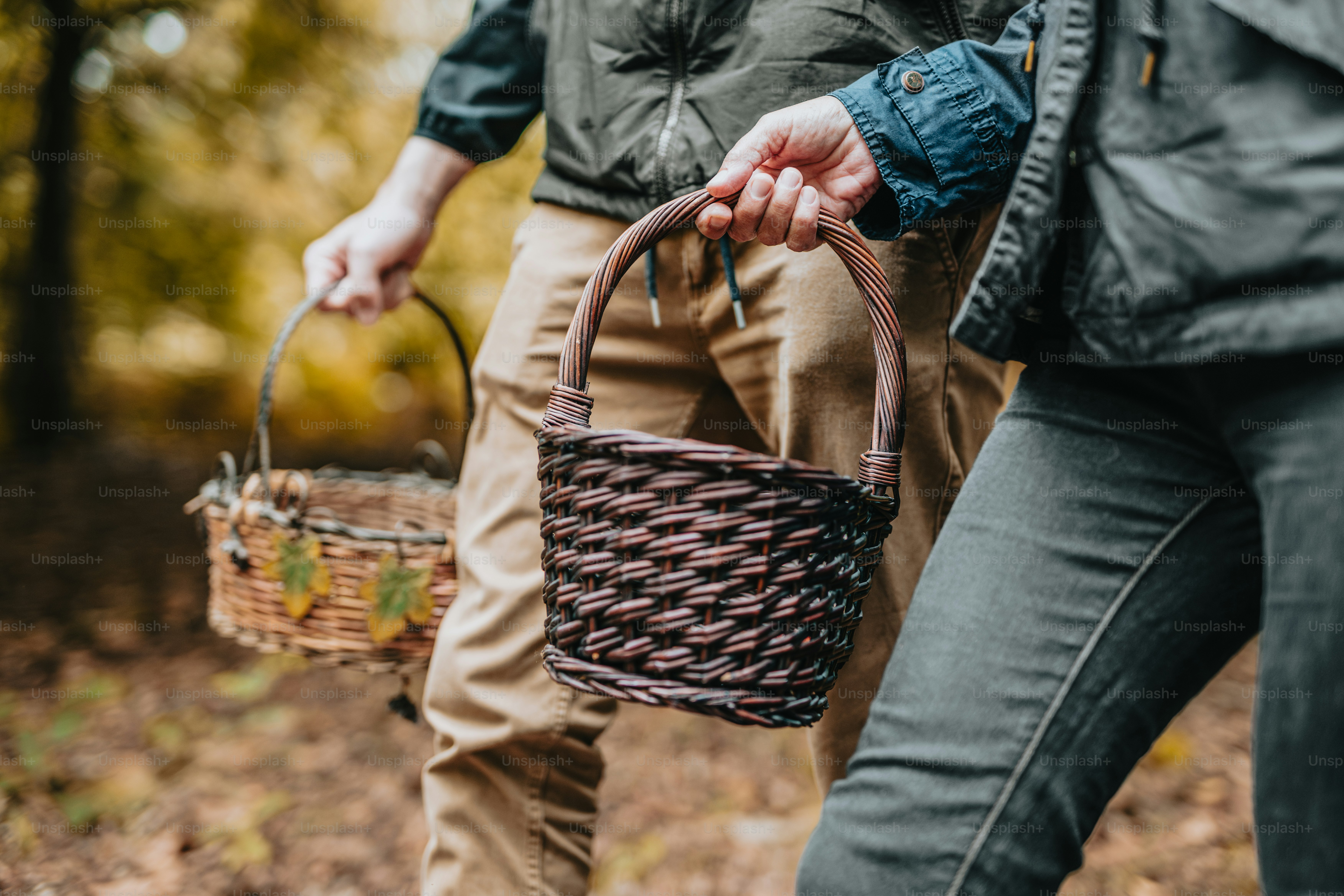 Foraging Pictures | Download Free Images on Unsplash