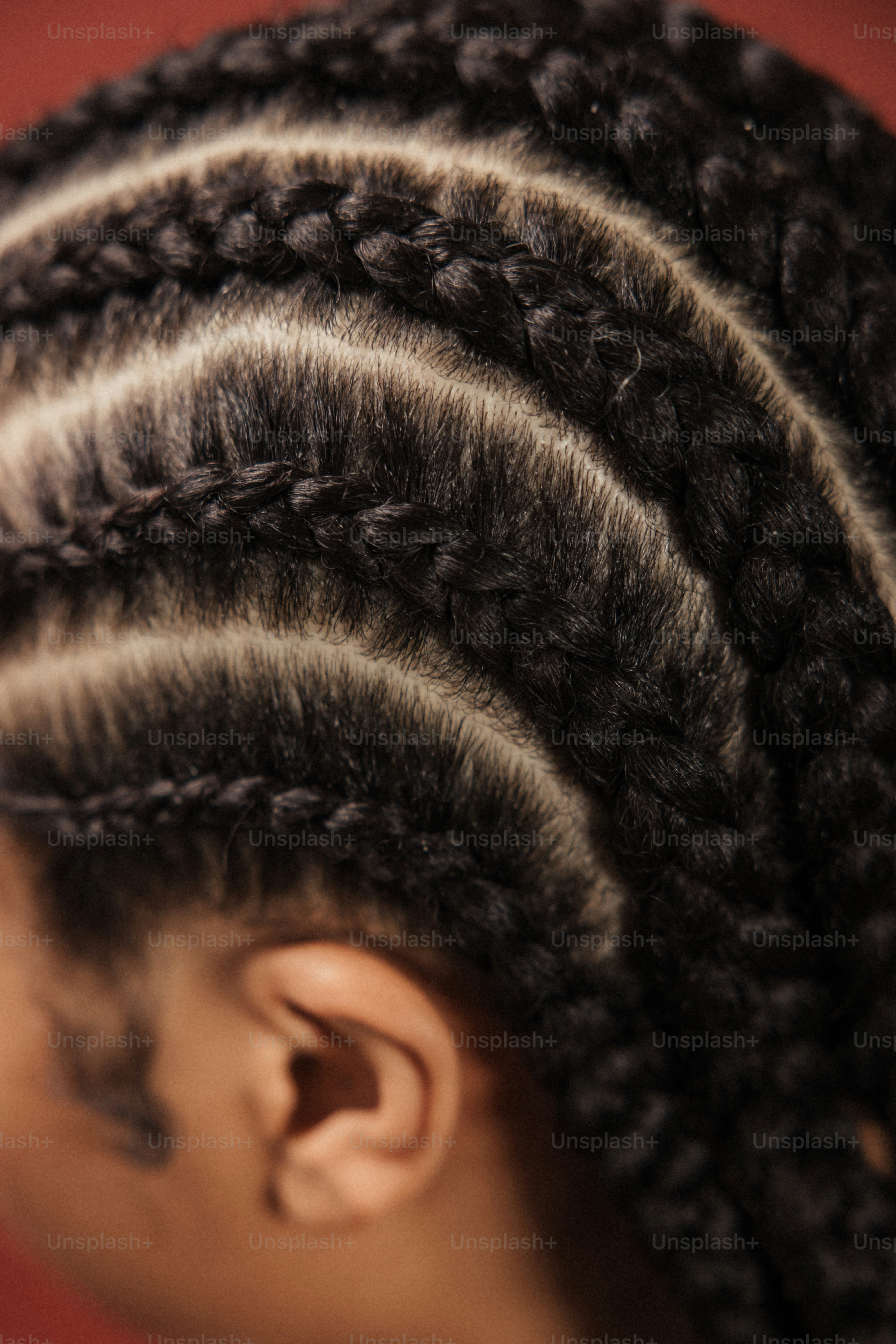 A close up of a woman's hair with braids photo – Black hair Image on ...