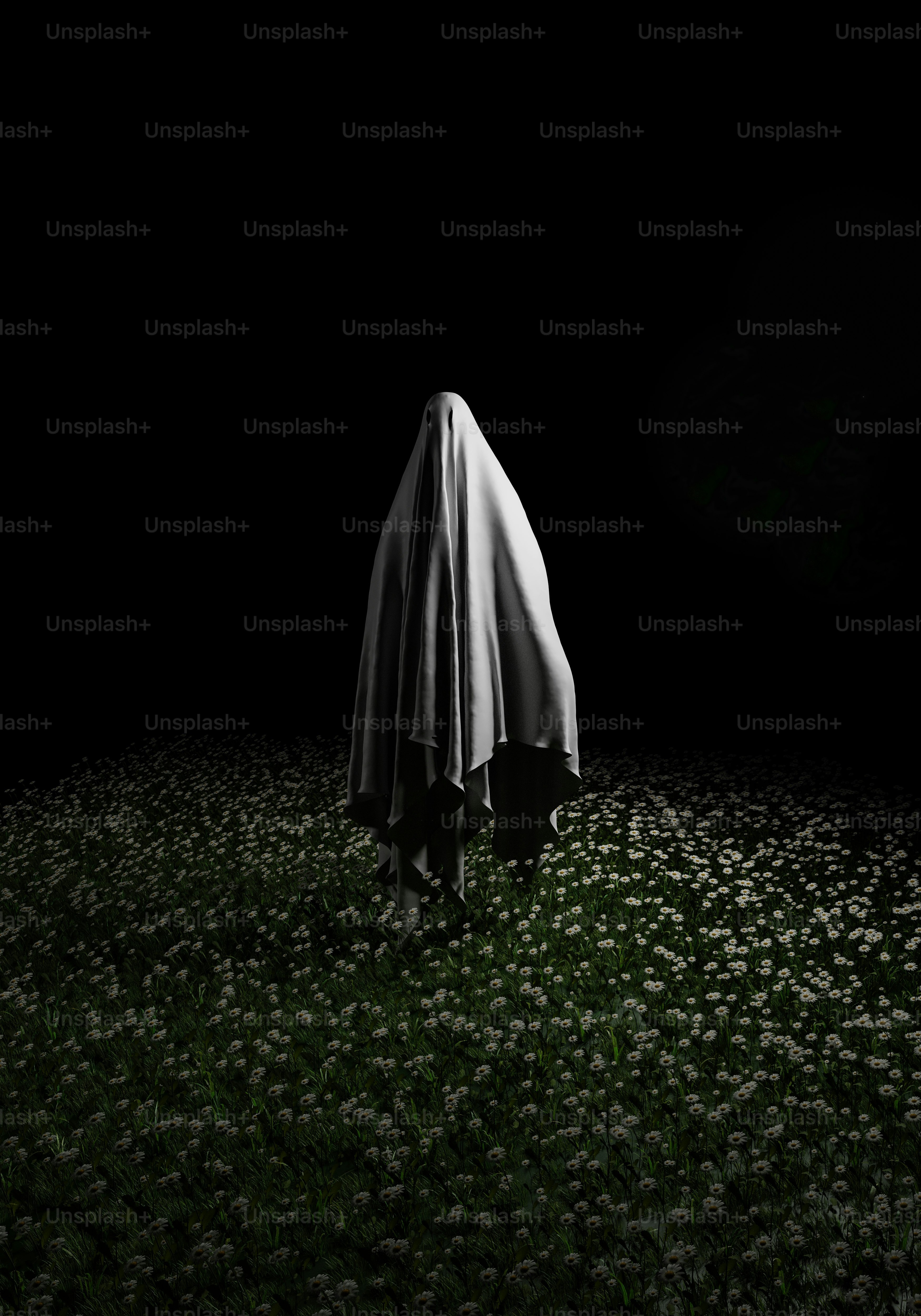 350+ Creepy Pictures [HD] | Download Free Images on Unsplash