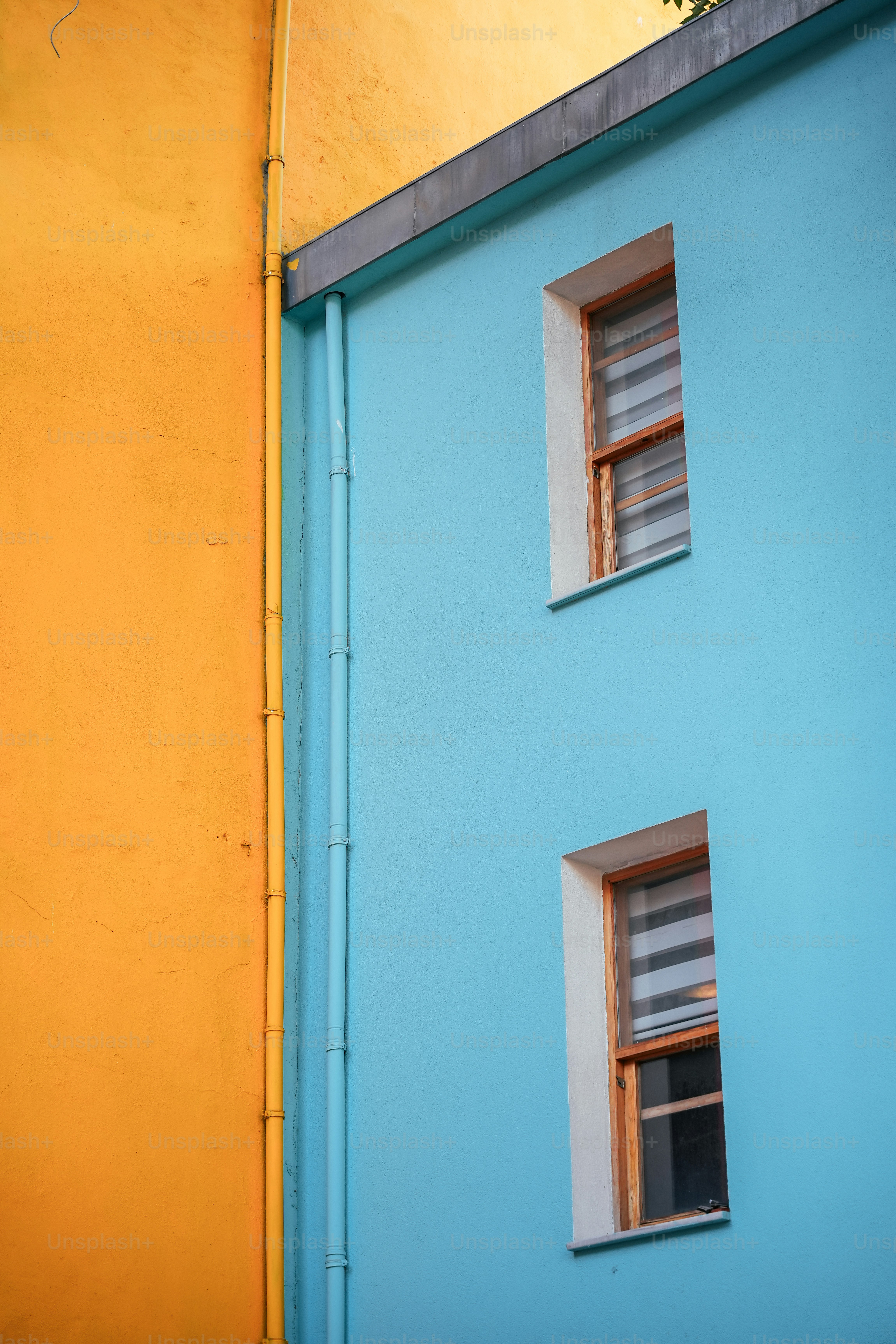 A blue and yellow building with two windows photo – Colorful exterior ...