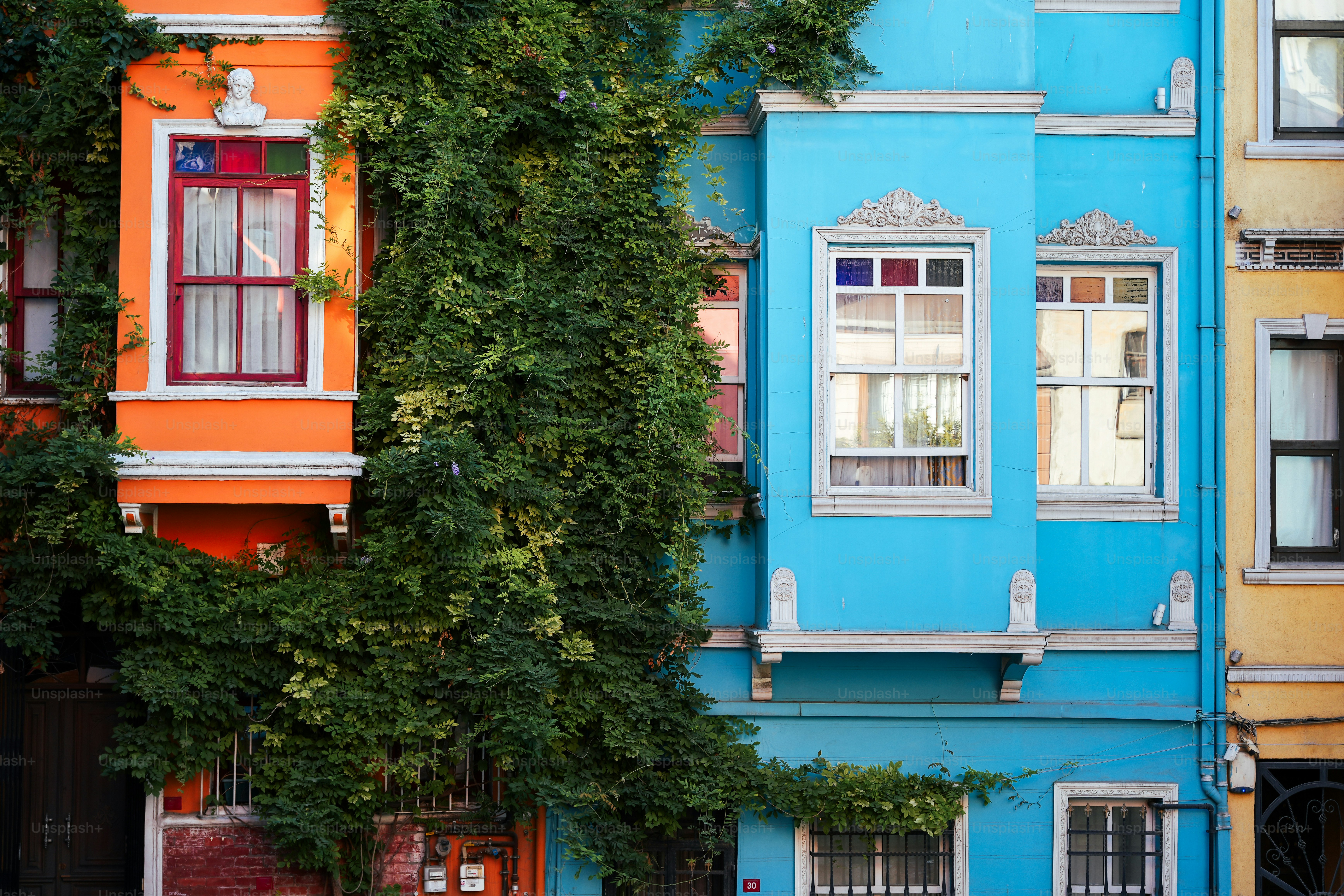 A row of multicolored buildings with vines growing up the side of them ...