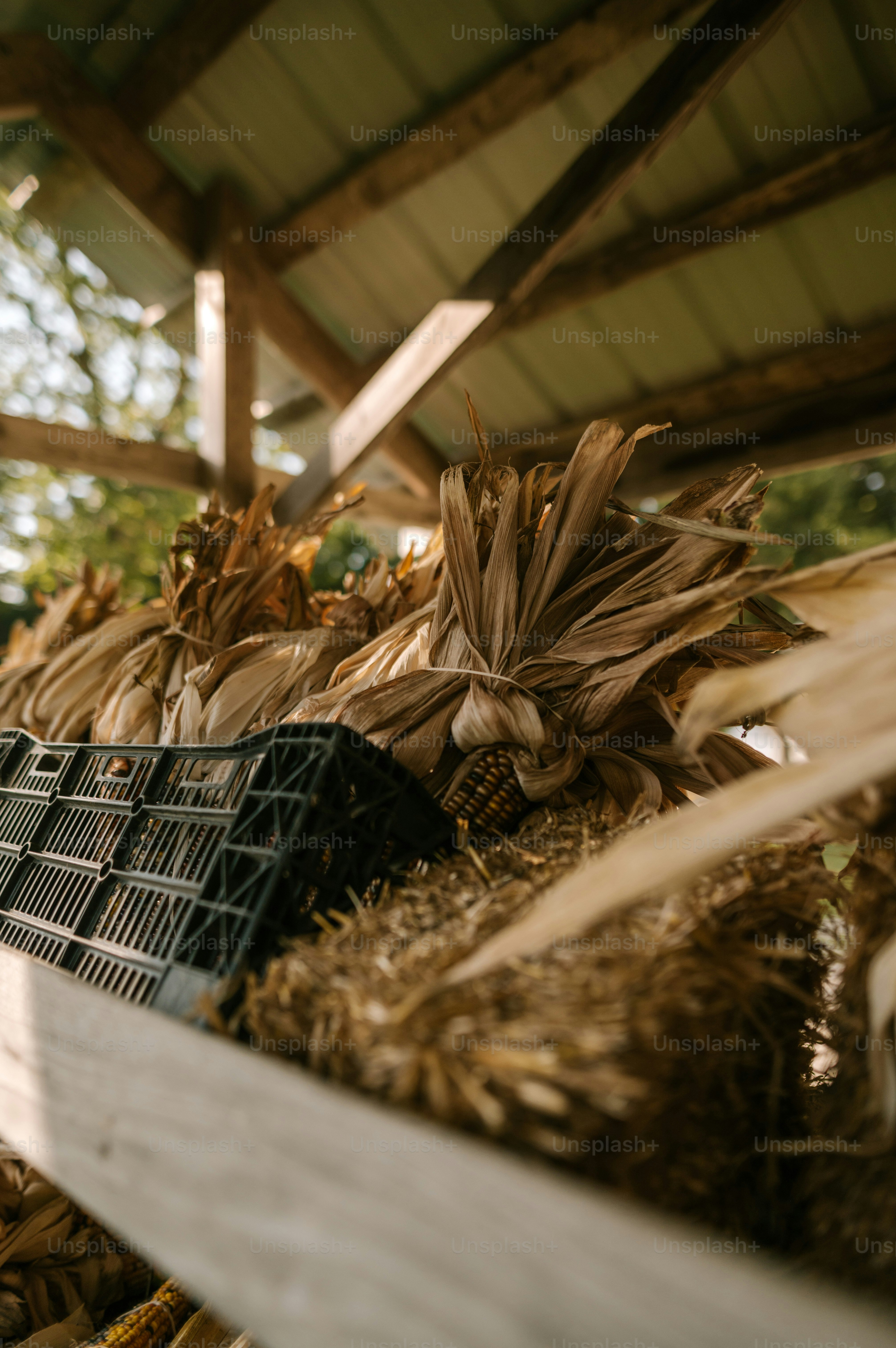 A bunch of hay sitting on top of a pile of hay photo – Nature Image on ...