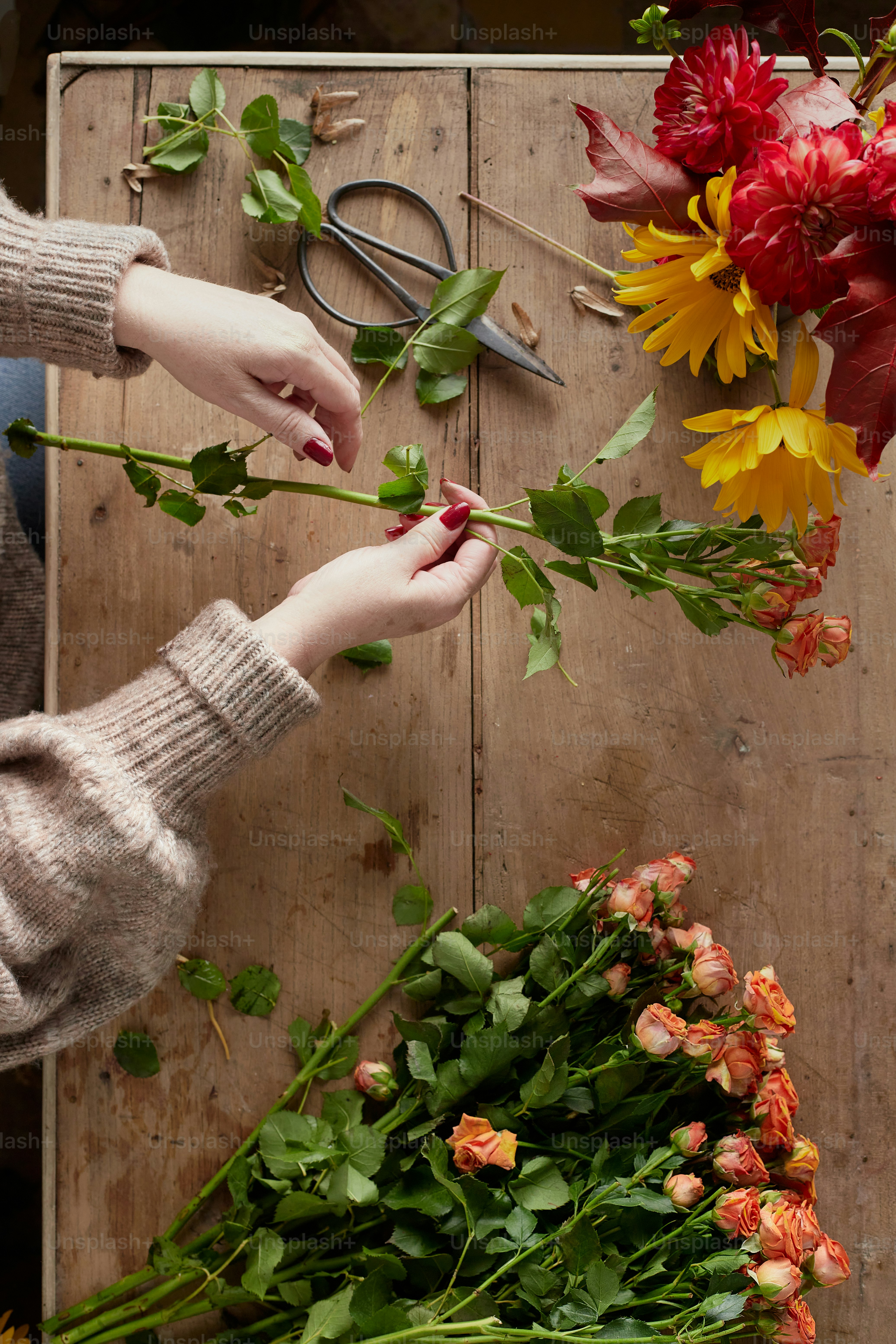 Fall Flowers Pictures | Download Free Images on Unsplash