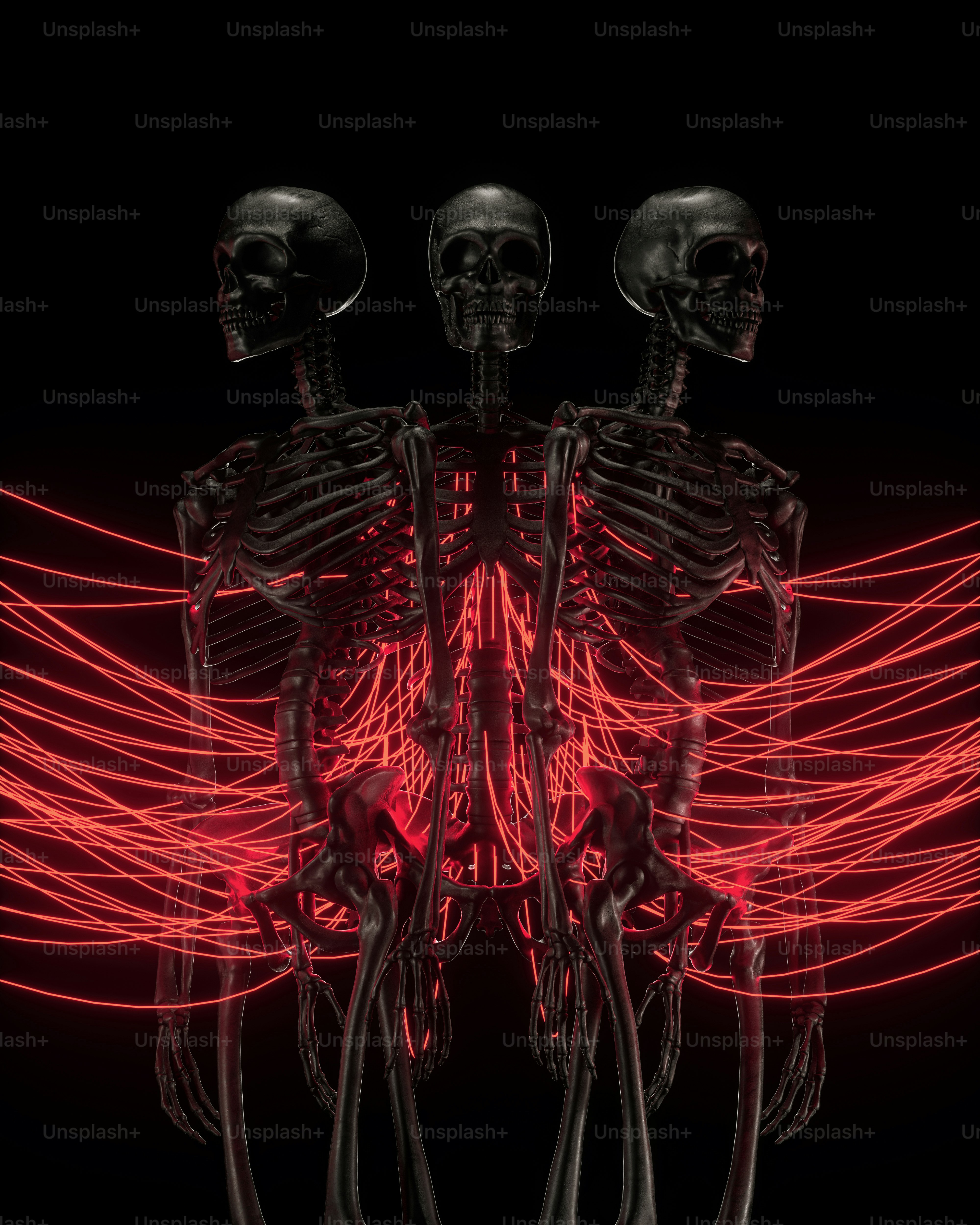 A computer generated image of a human skeleton photo – Skeleton Image ...