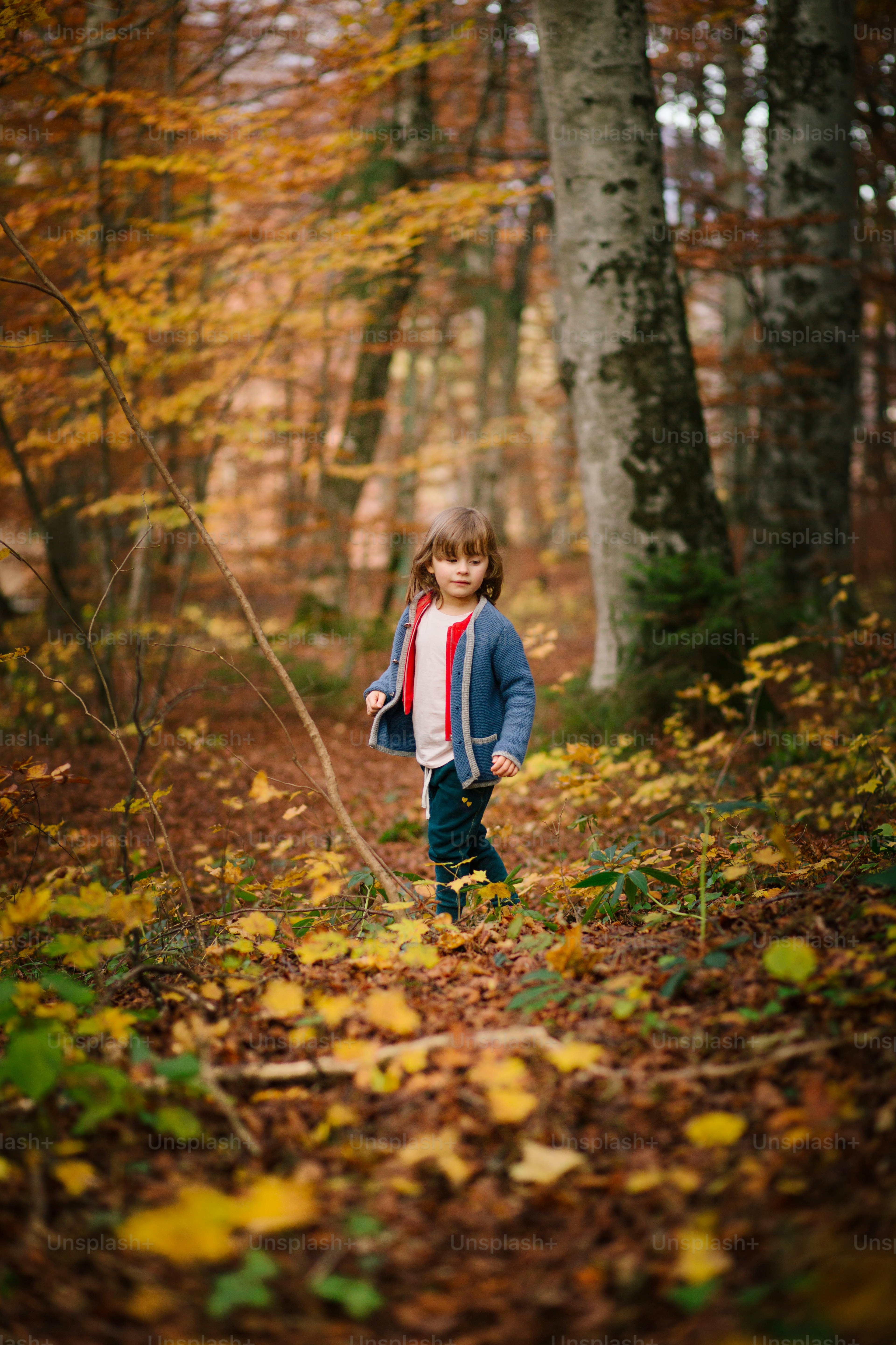 A little girl walking through a forest in the fall photo – Autumn Image ...