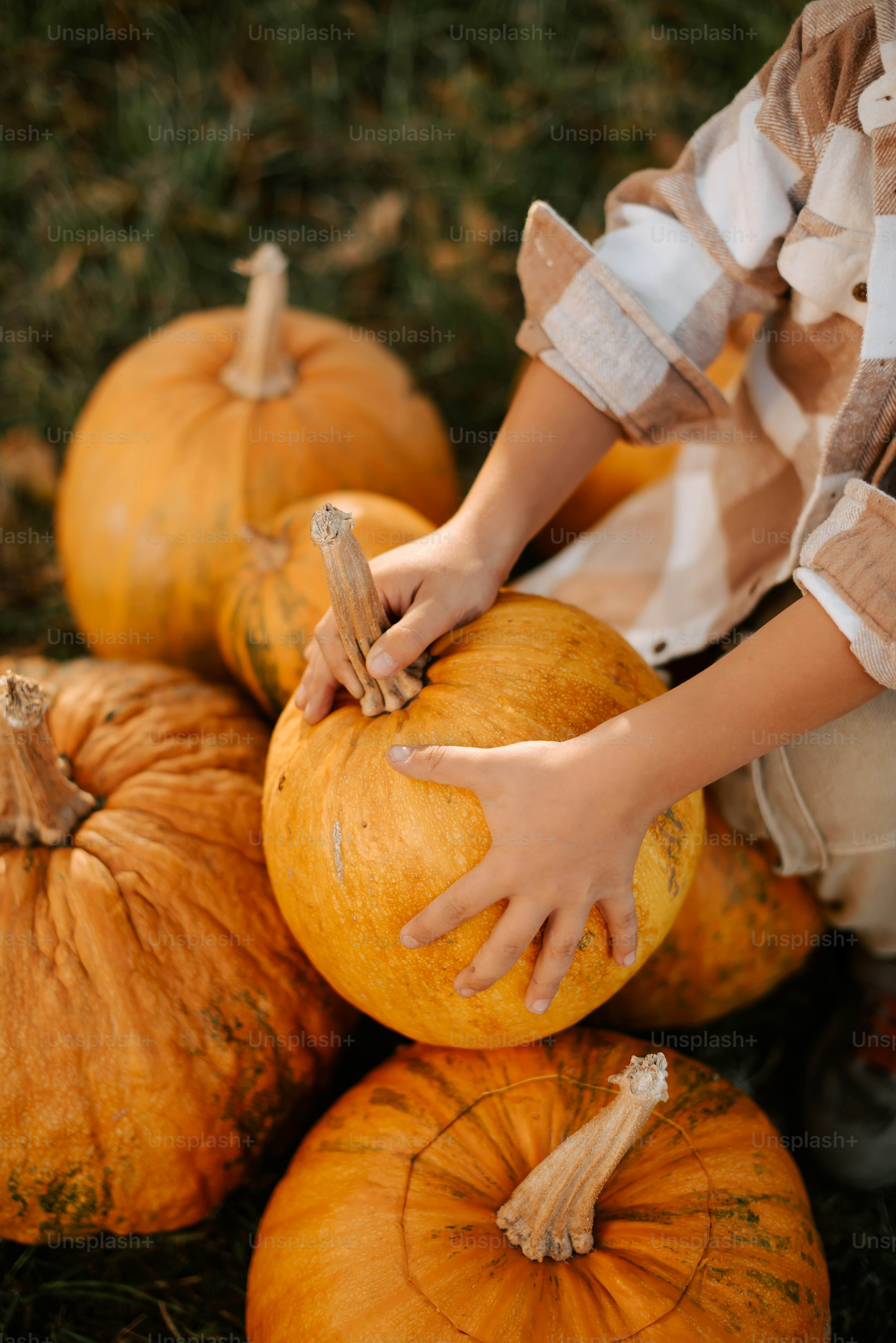 A child is peeling a pumpkin on a pile of pumpkins photo – Pumpkin ...