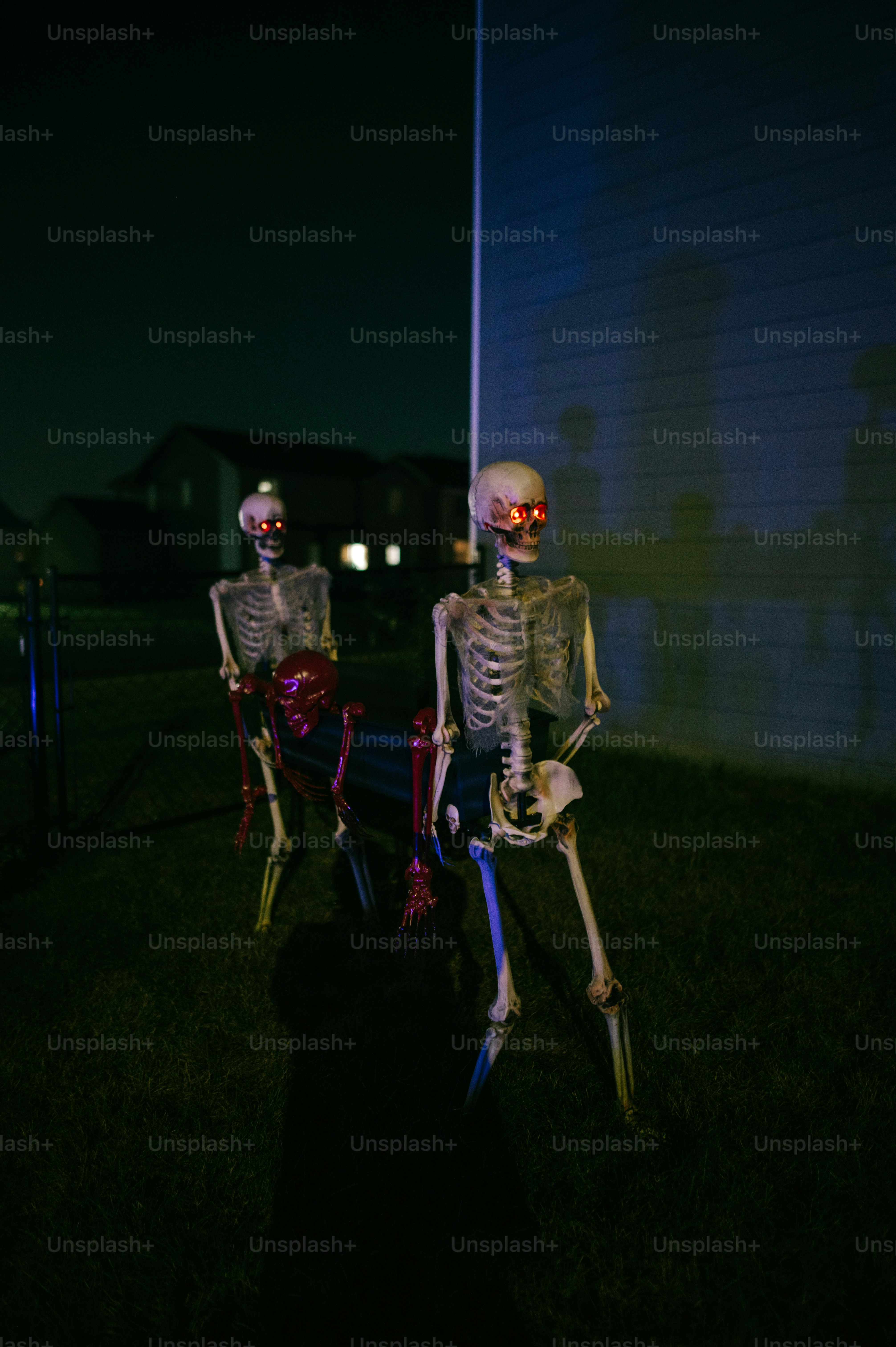 A couple of skeletons sitting on top of a bench photo – Halloween ...