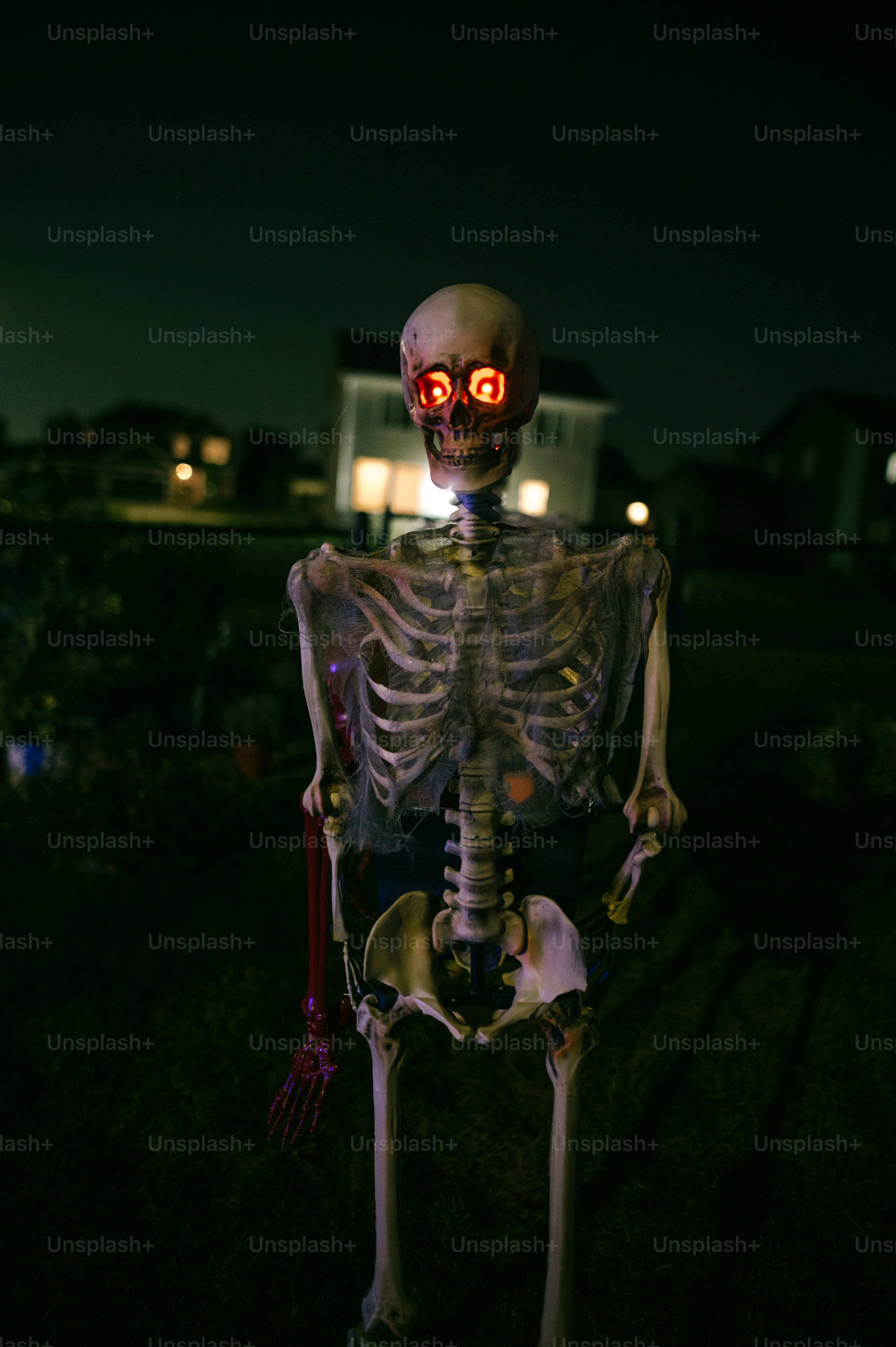 A skeleton with glowing eyes standing in the dark photo – Skeleton ...