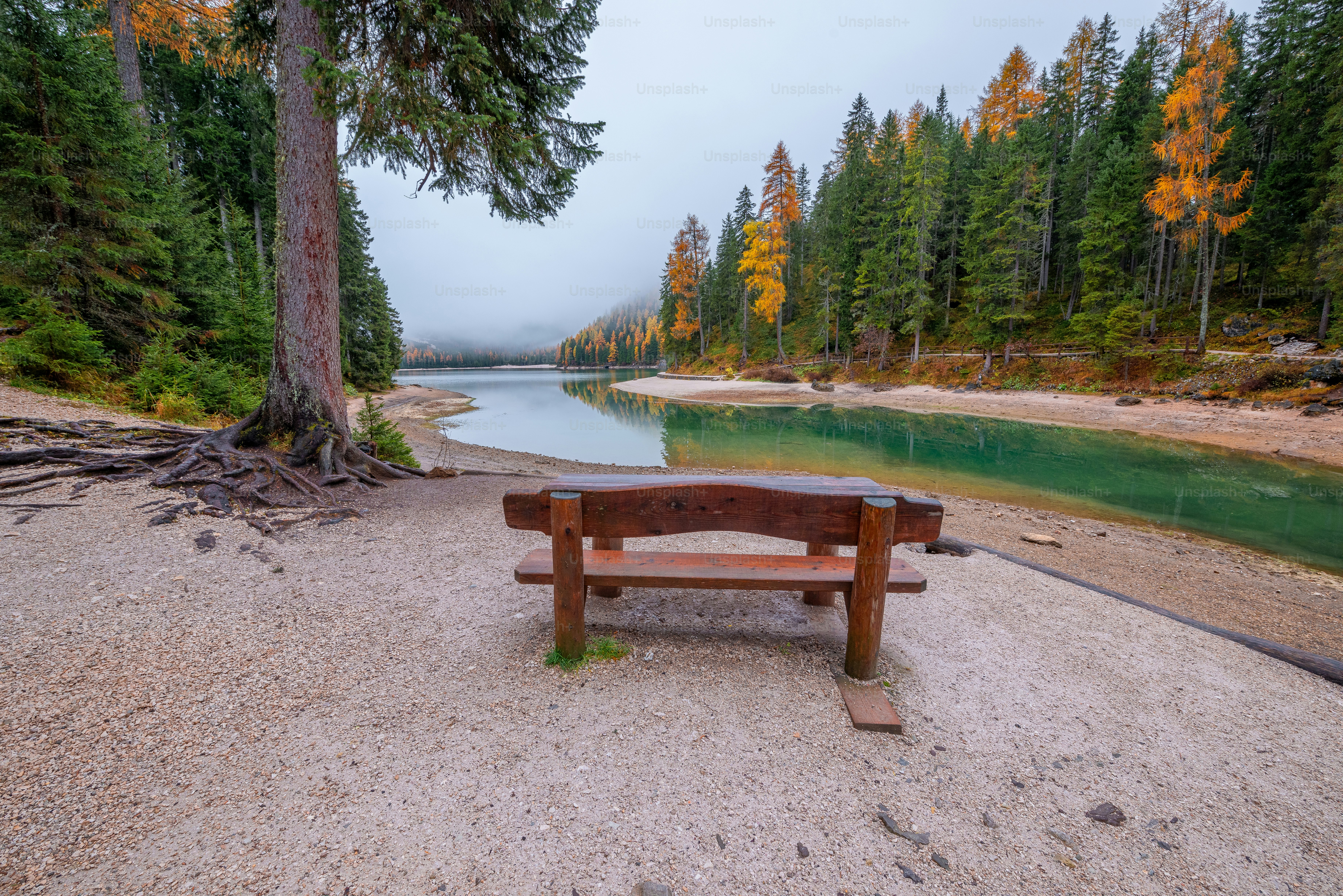 Un banc en bois posé sur une plage de sable photo – Arbre Photo sur ...