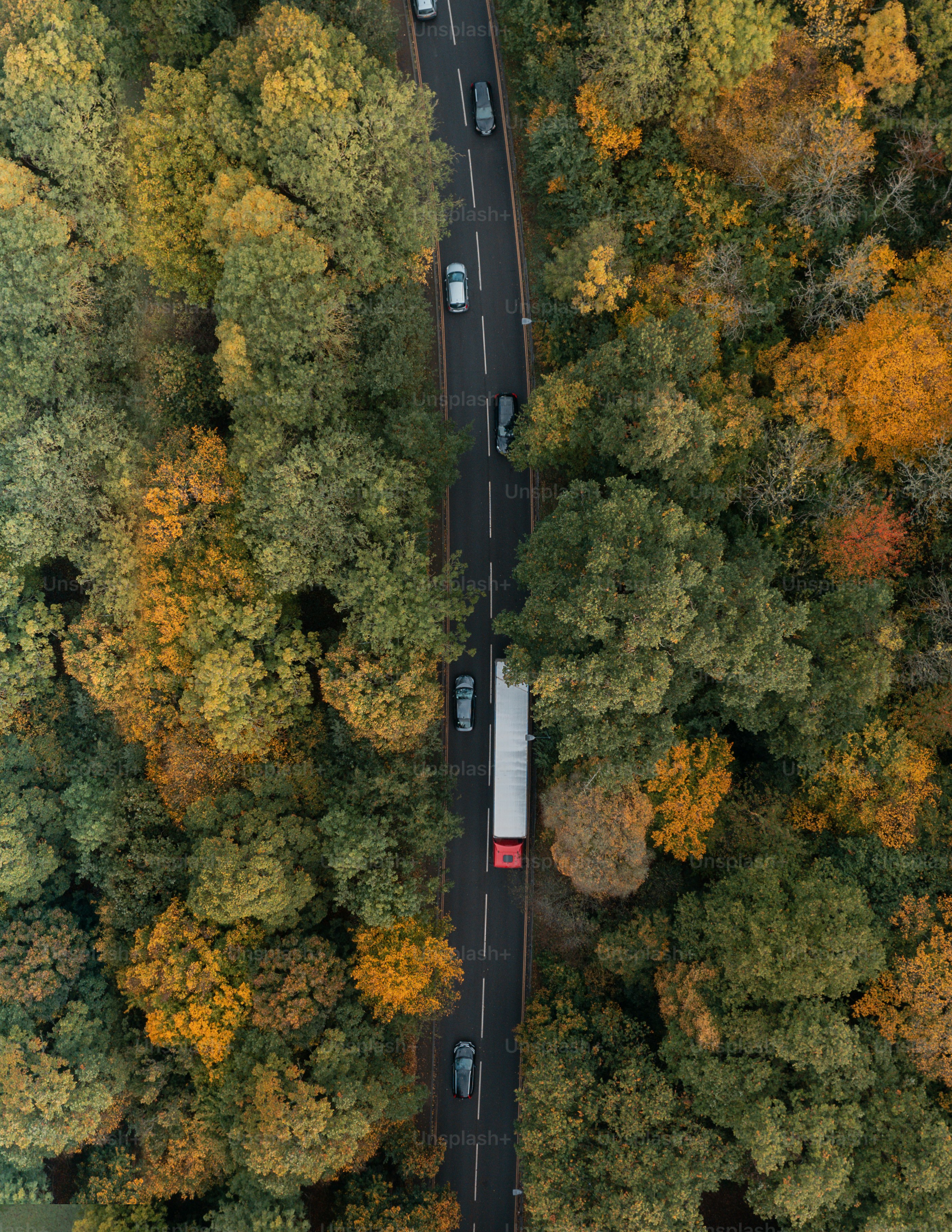 An aerial view of a road surrounded by trees photo – Autumn Image on ...