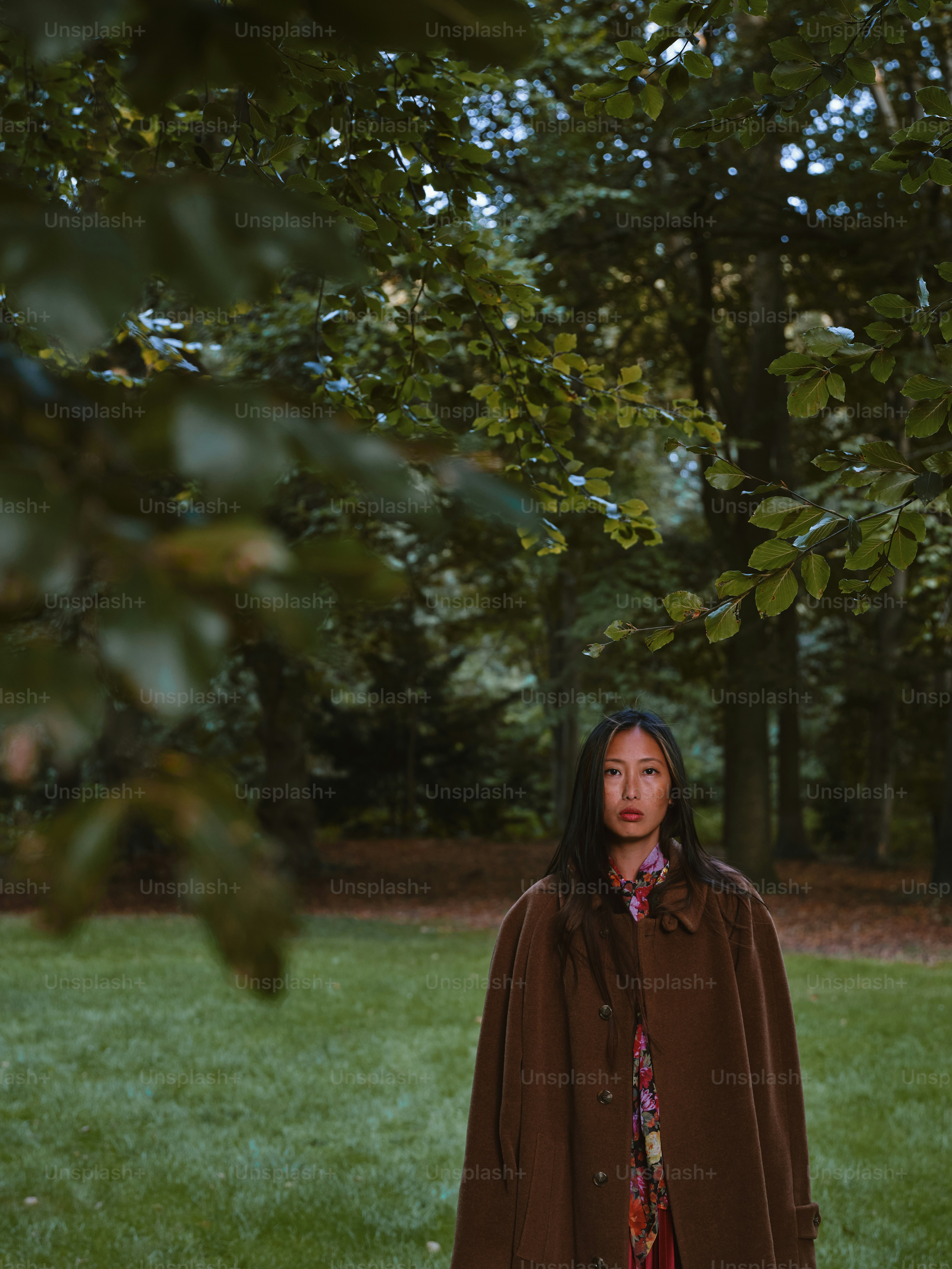 A woman standing on a bench in a forest photo – Autumn Image on Unsplash