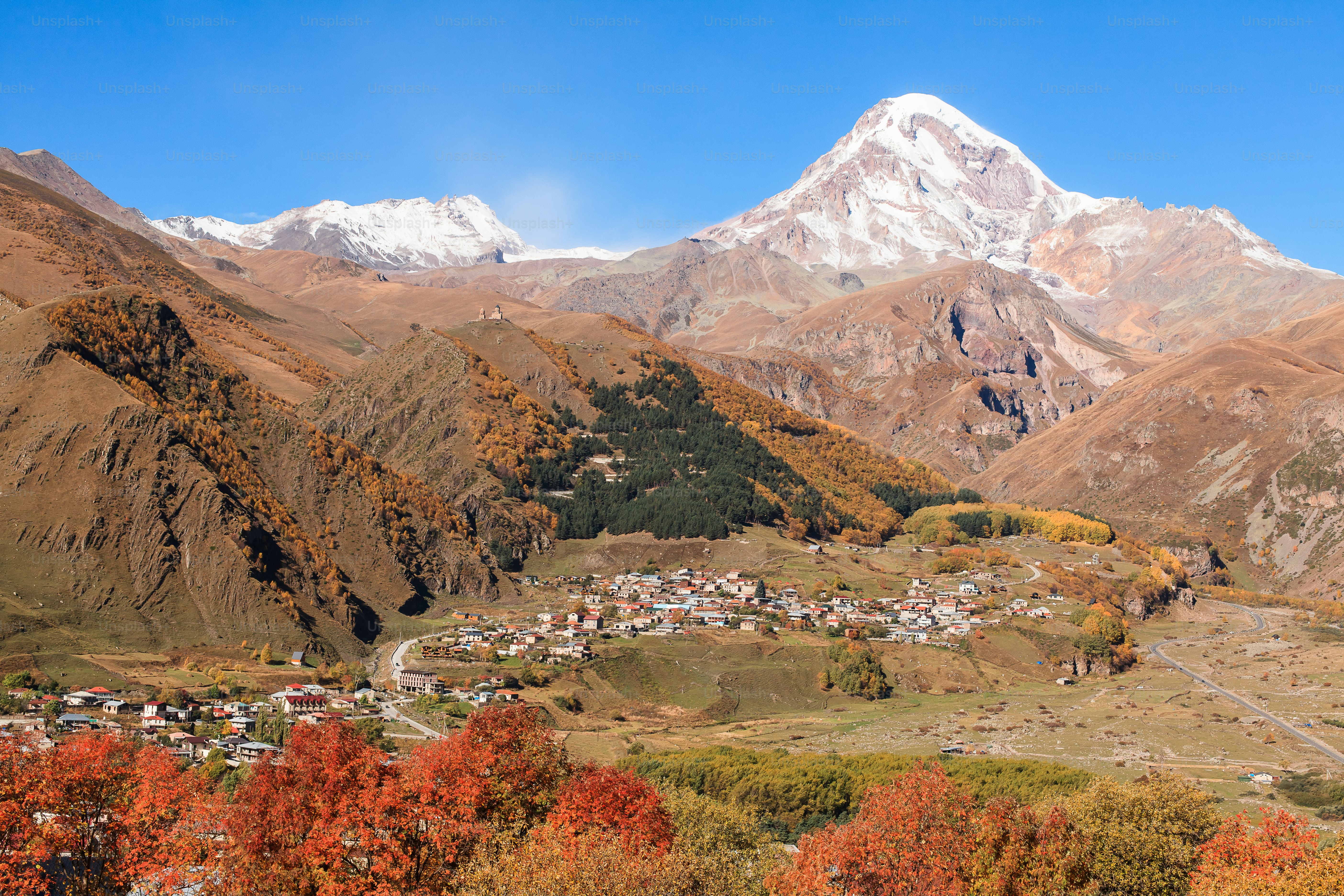 Lhasa Pictures | Download Free Images on Unsplash
