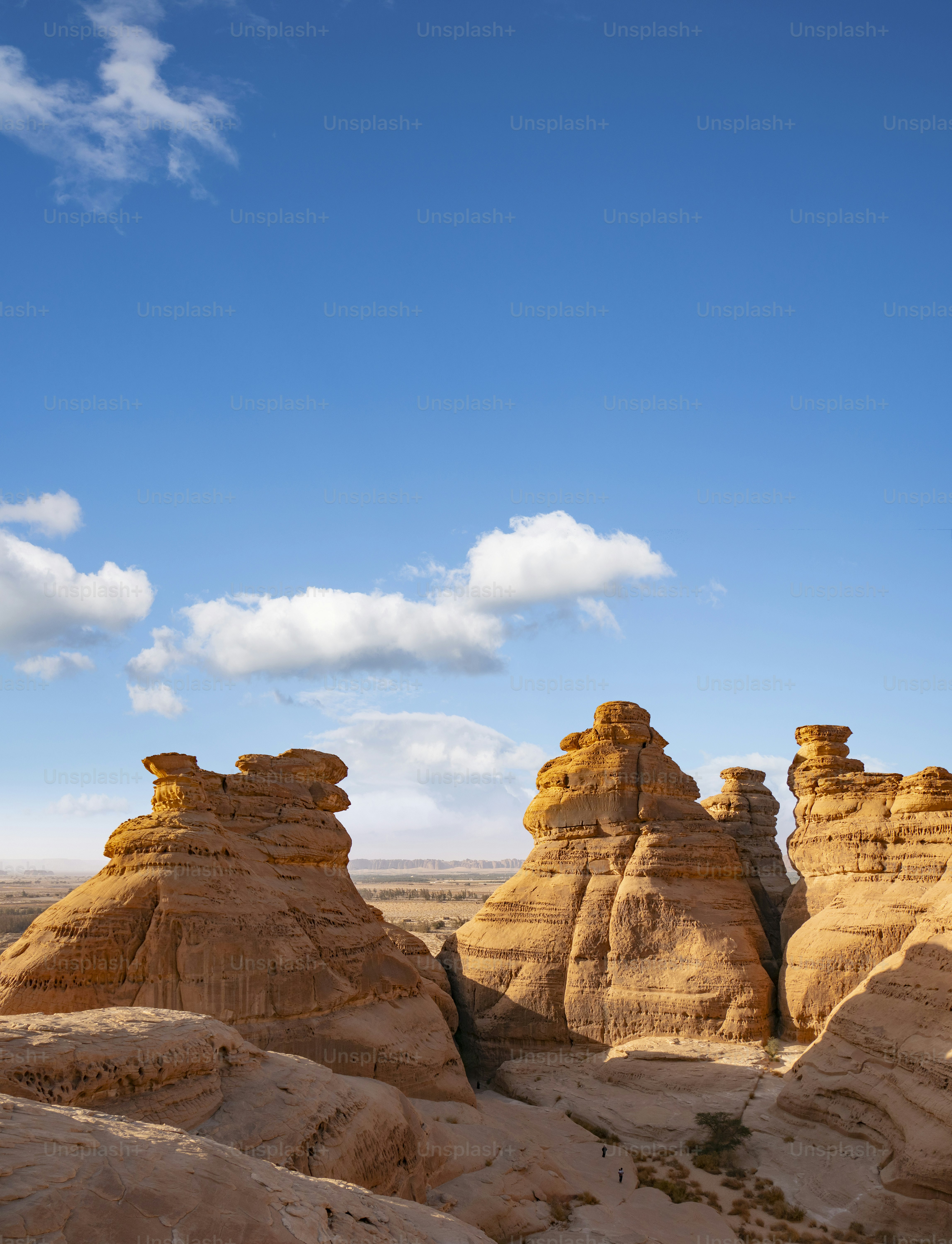 500+ Saudi Arabia Pictures [HD] | Download Free Images on Unsplash