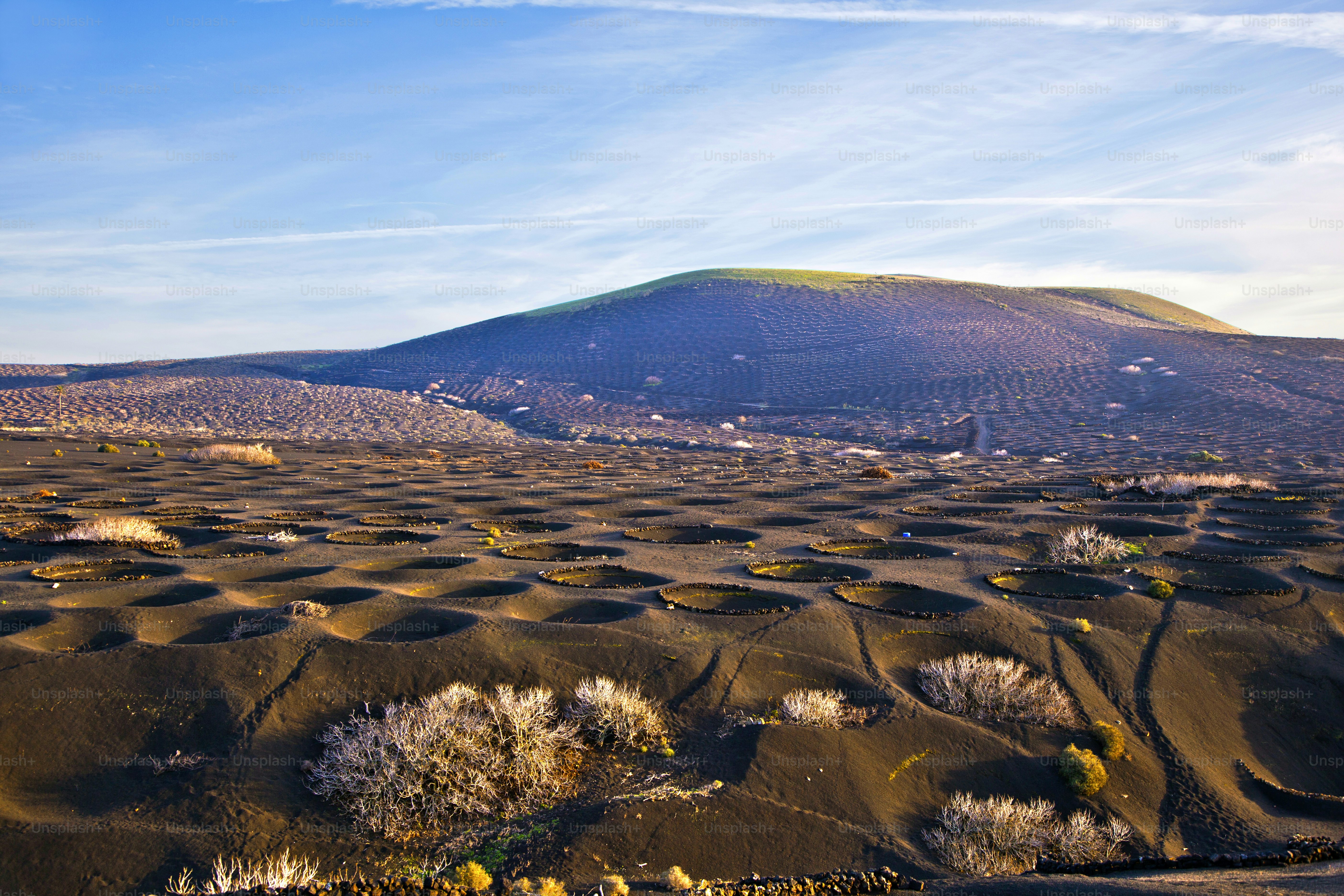 Paisaje La Geria en Lanzarote, una zona vinícola sobre ceniza volcánica ...