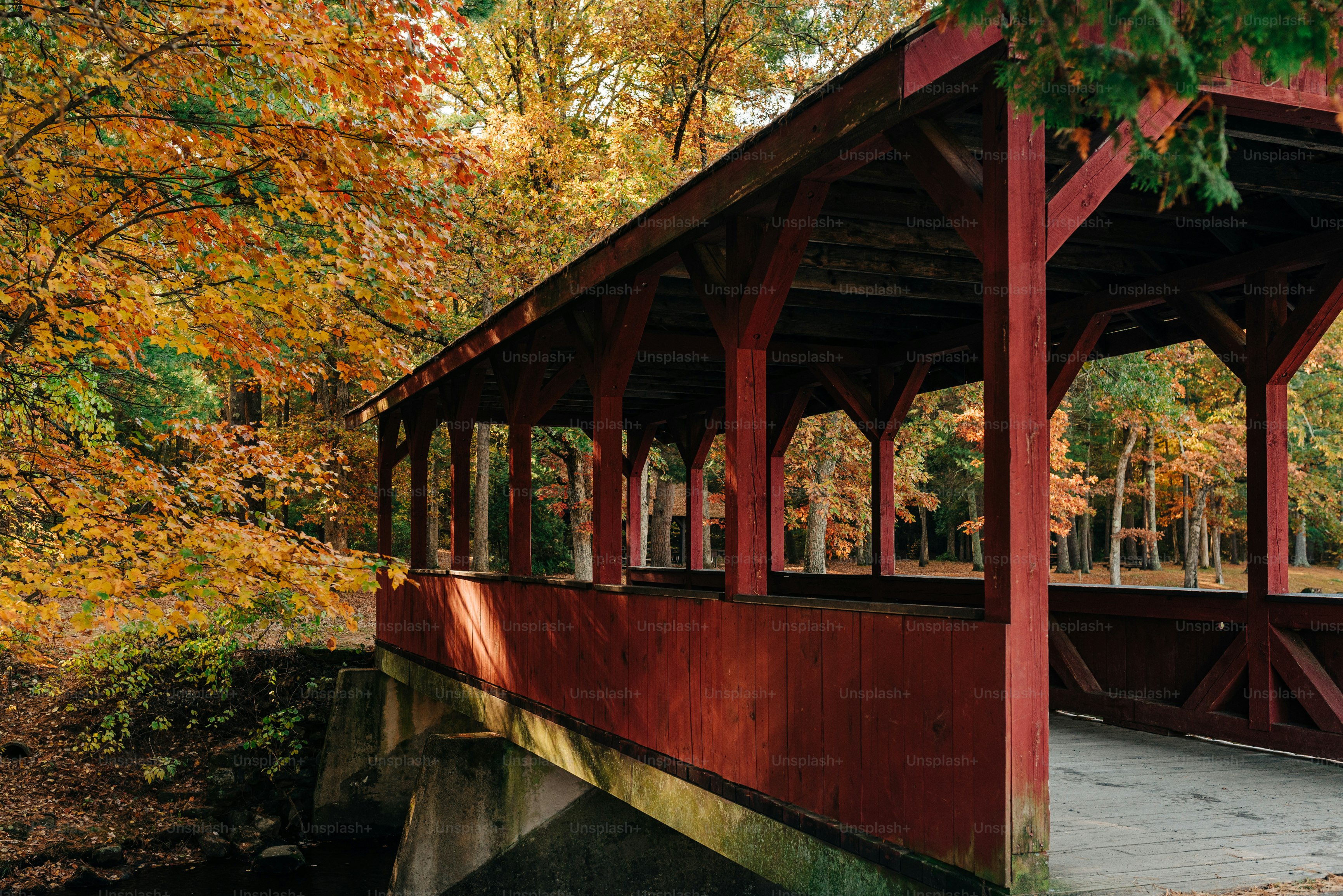 50,000+ Red Bridge Pictures | Download Free Images on Unsplash