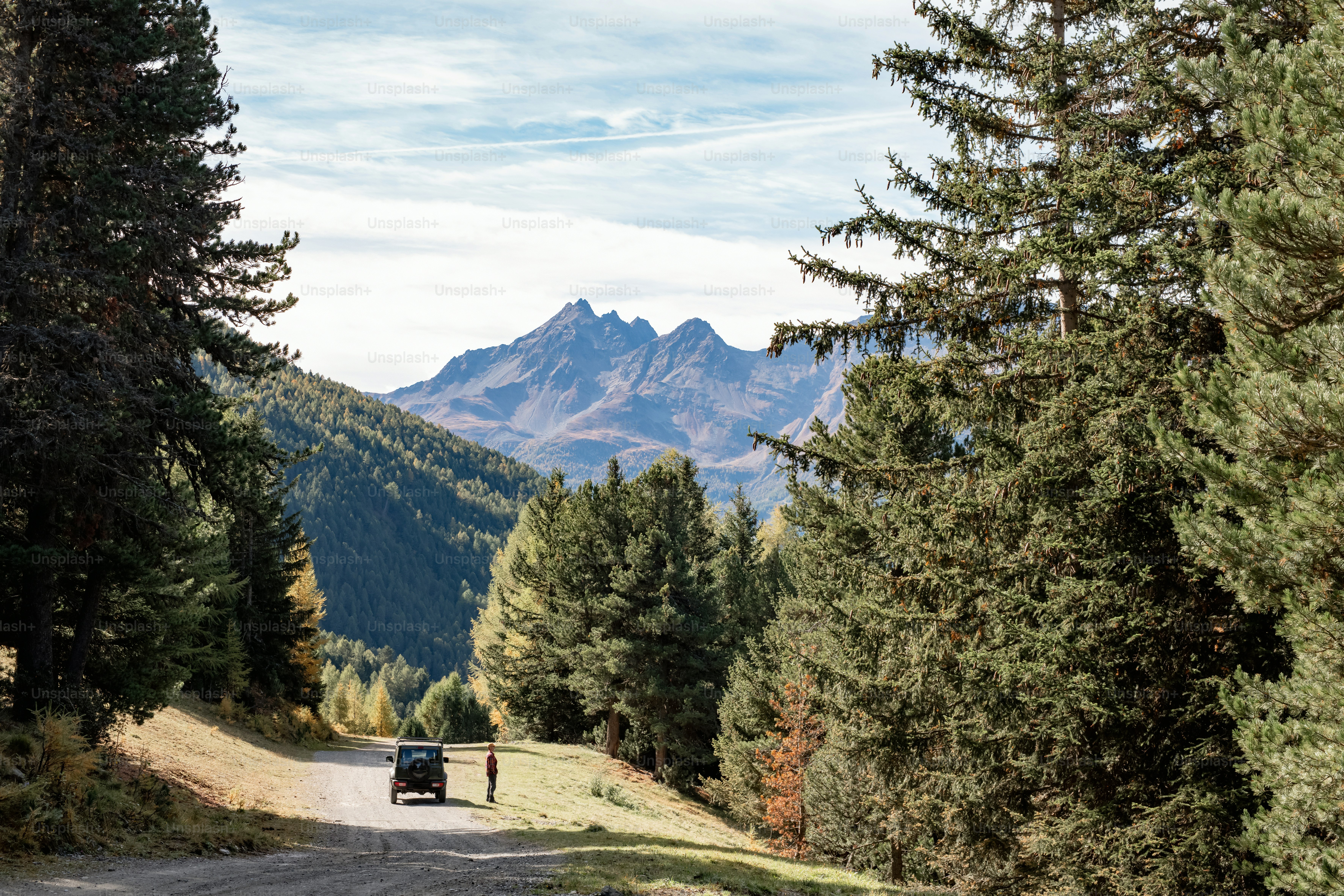 45,628+ Car In Nature Pictures | Download Free Images on Unsplash