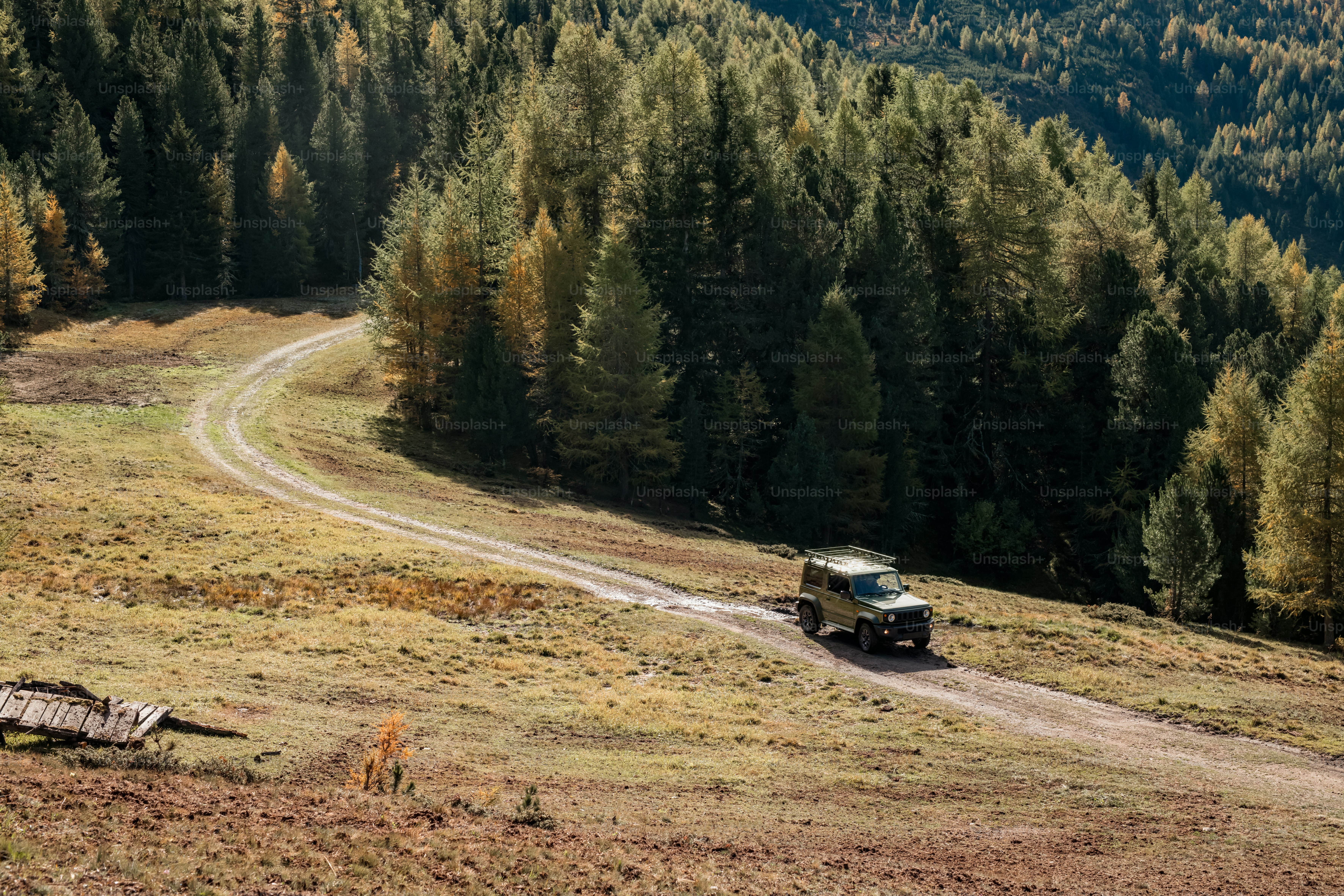 A truck driving down a dirt road in the middle of a forest photo ...