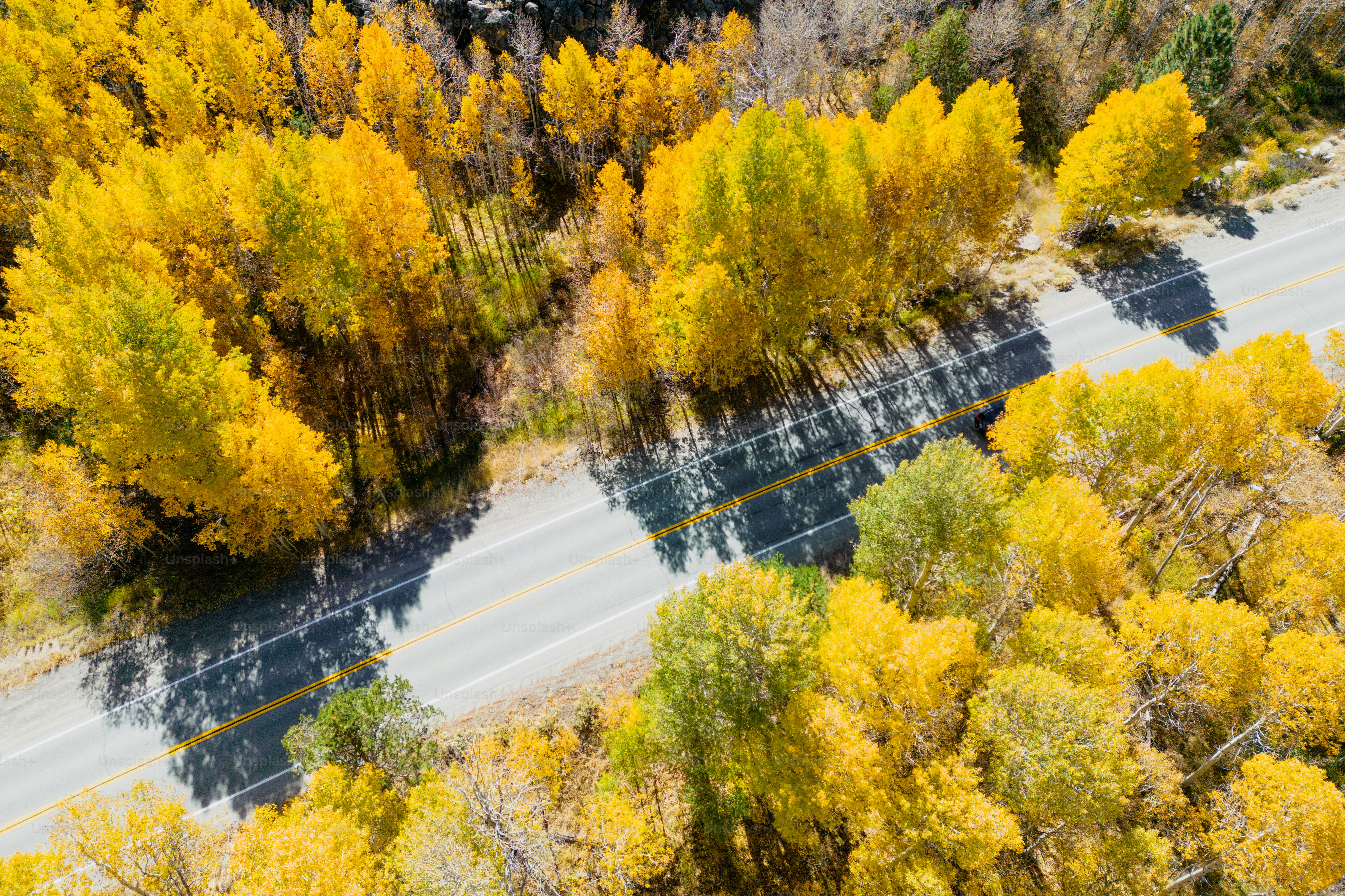 An aerial view of a road surrounded by trees photo – Road Image on Unsplash