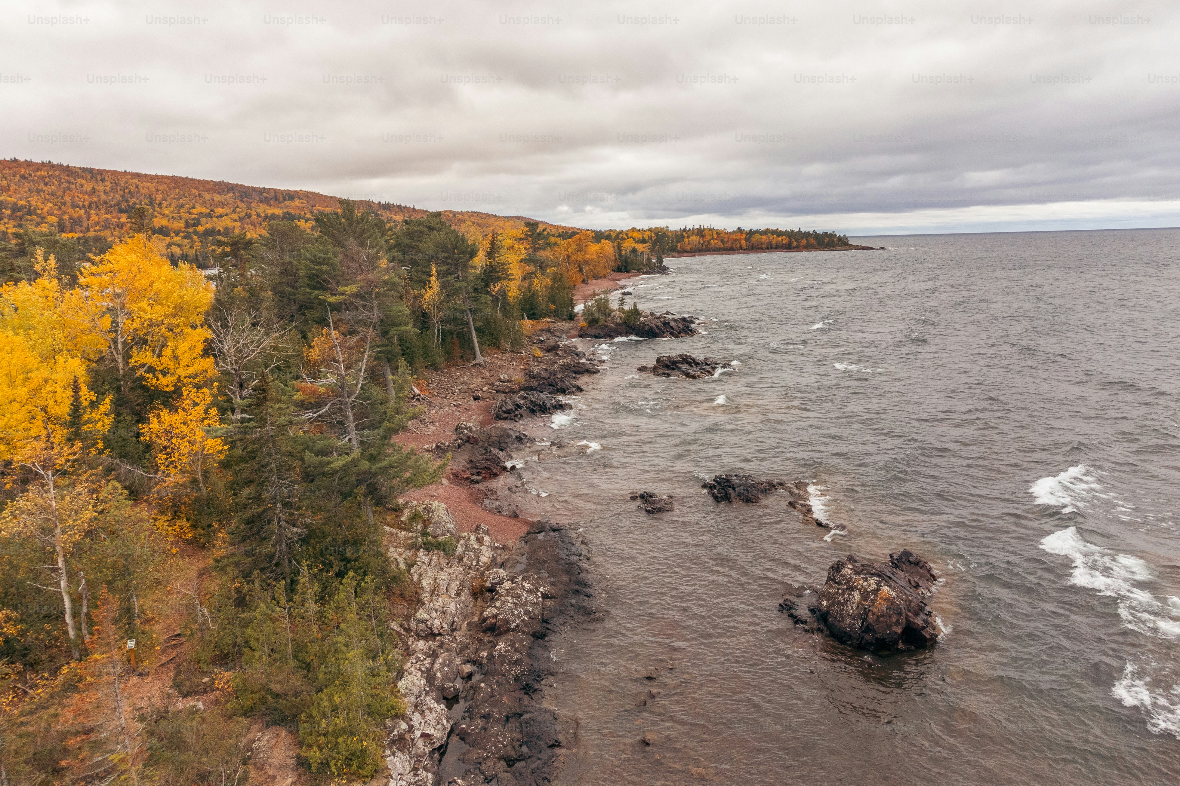 An aerial view of a rocky shoreline with trees in the background photo ...