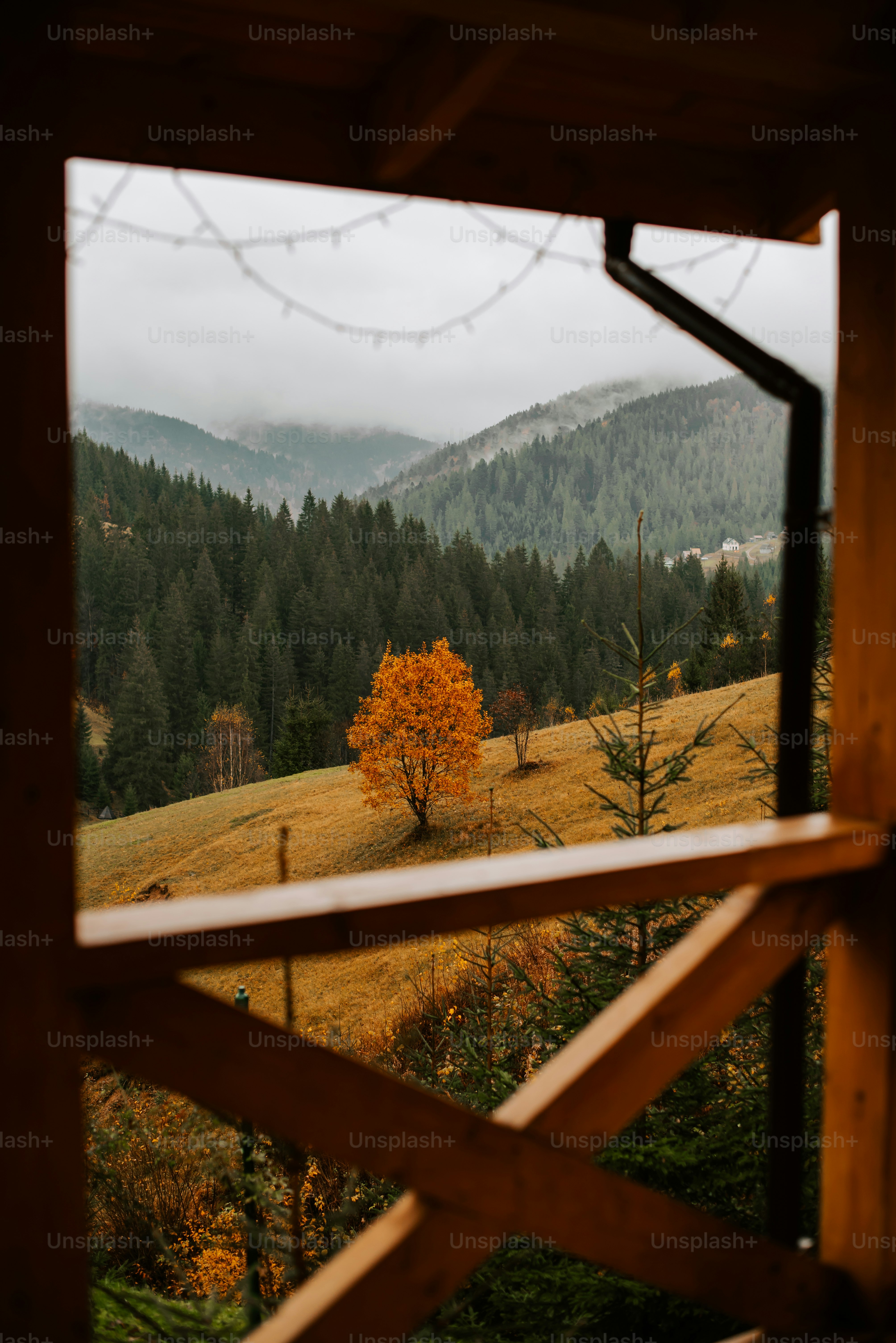 A view of a field through a window photo – Outdoors Image on Unsplash