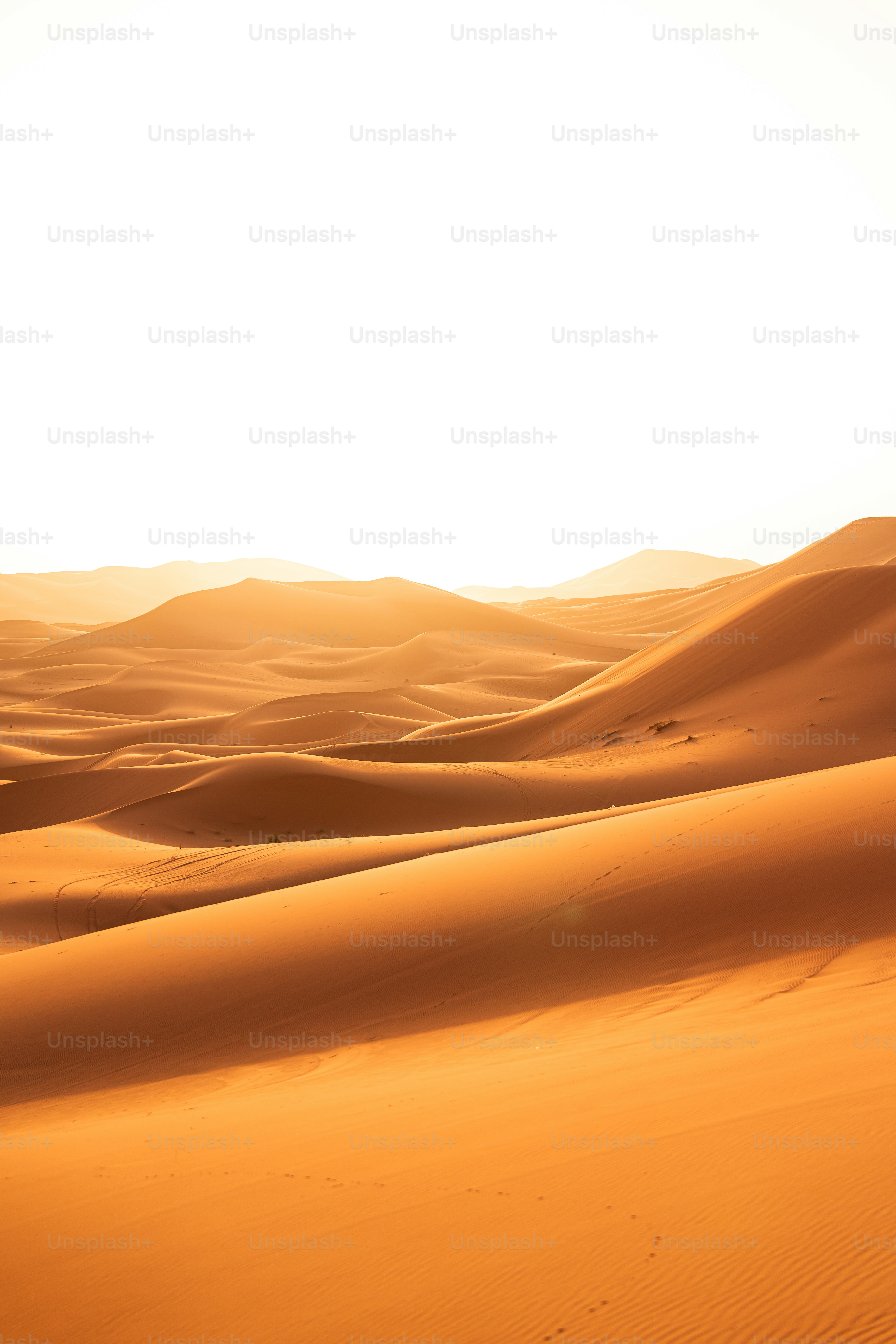 Foto Seseorang mengendarai unta di padang pasir saat matahari terbenam ...