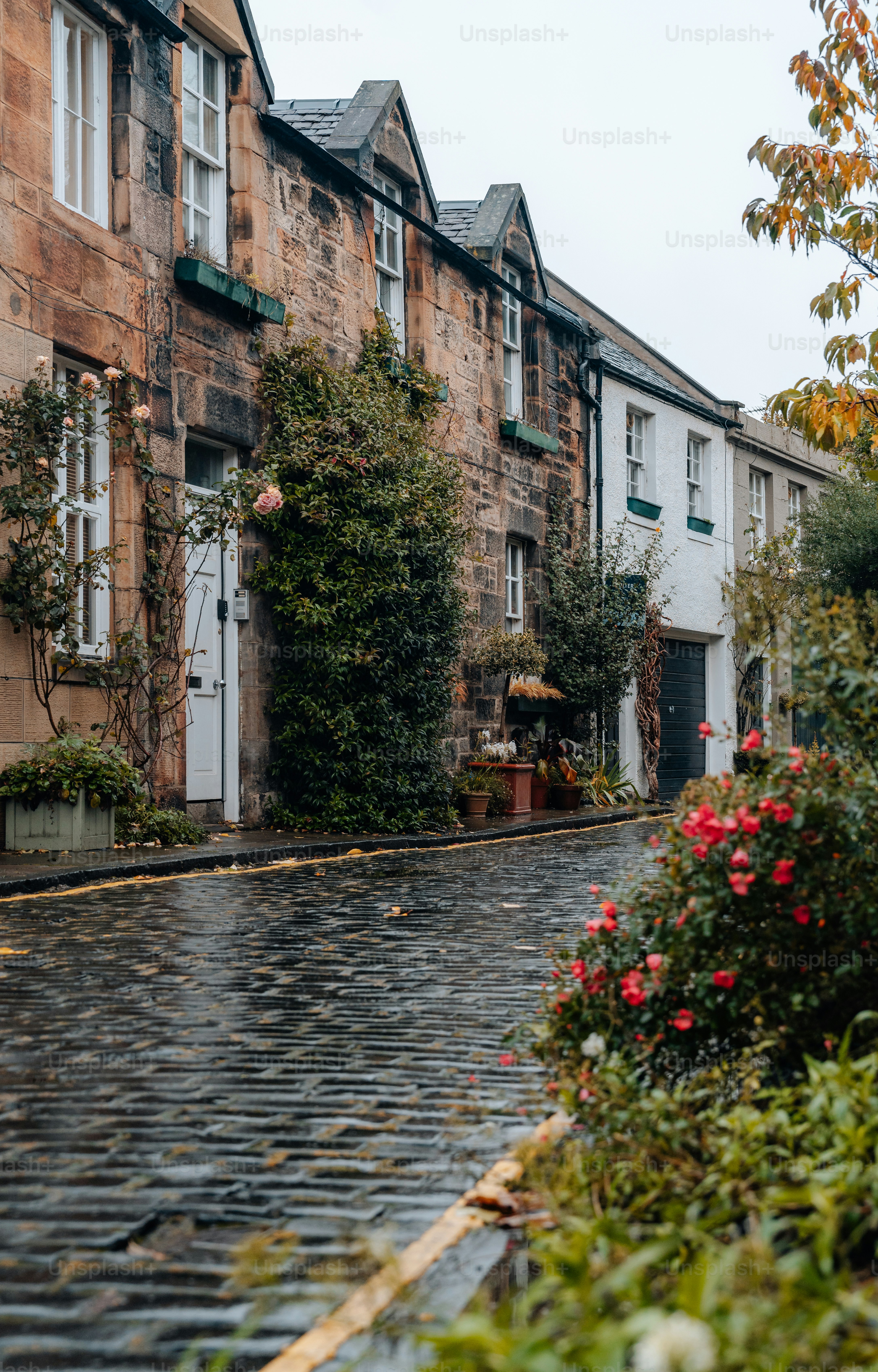 Row Houses Pictures | Download Free Images on Unsplash