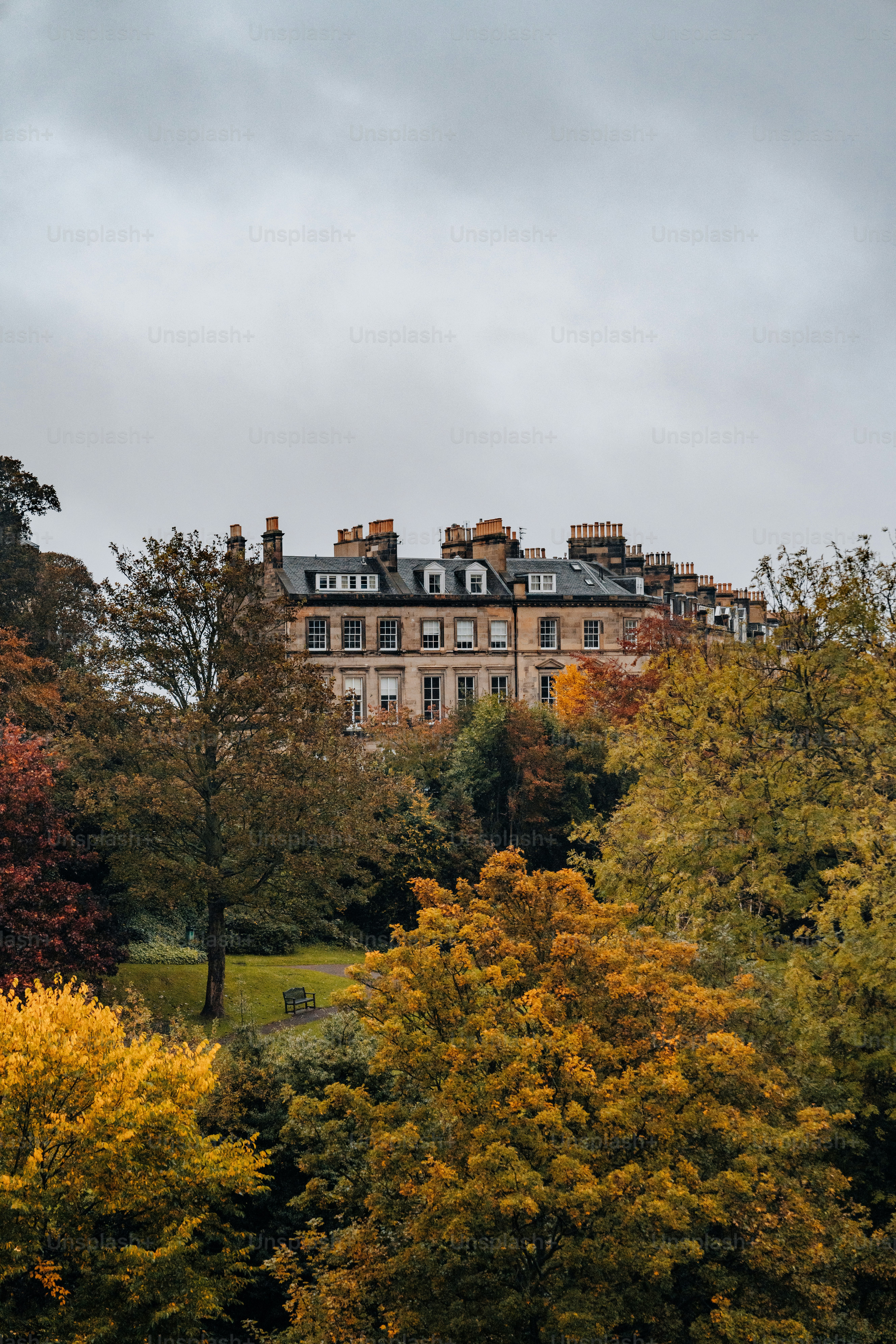 A city with lots of tall buildings surrounded by trees photo ...