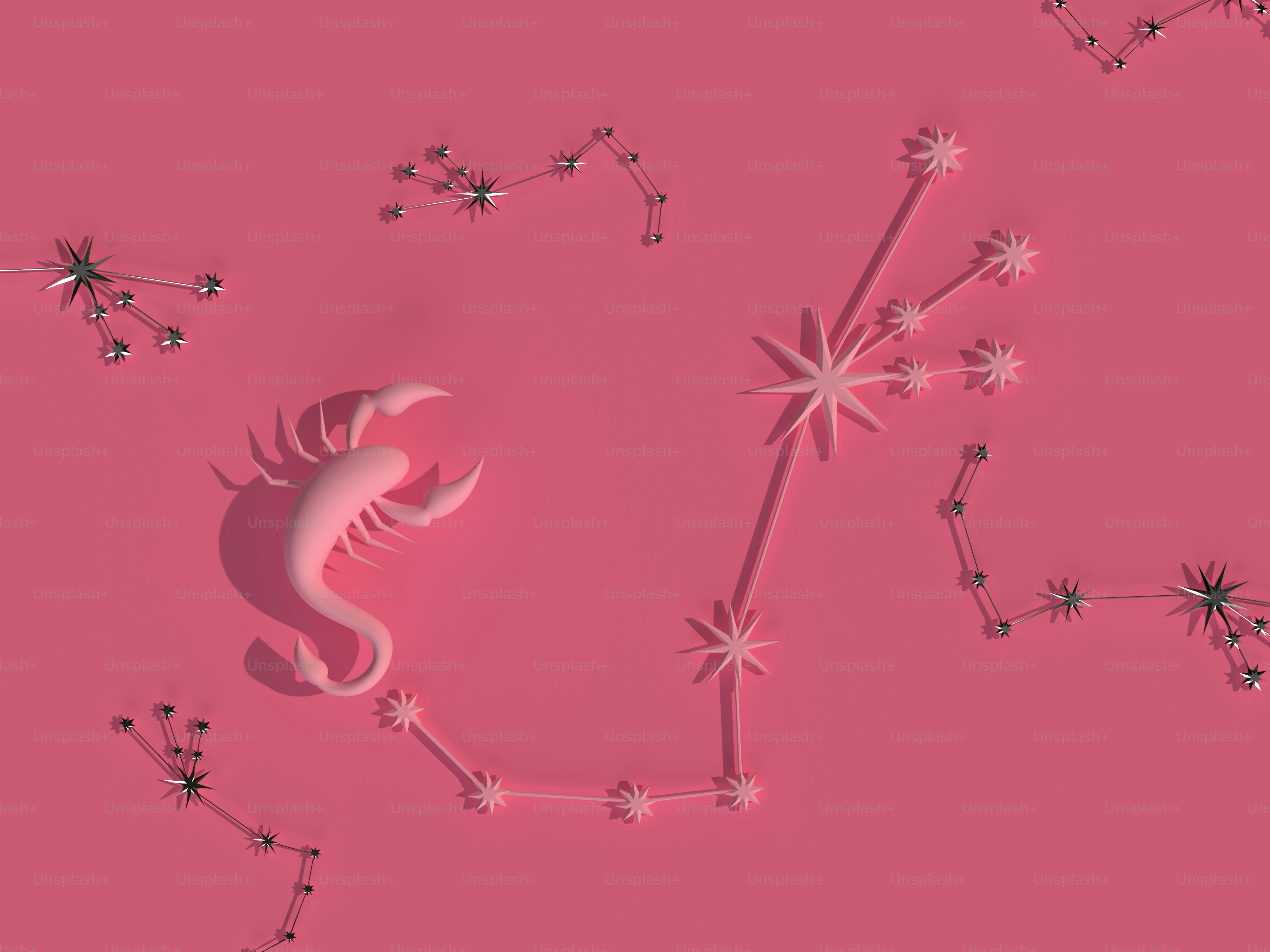 A pink background with stars and a lizard photo – Astrology Image on ...