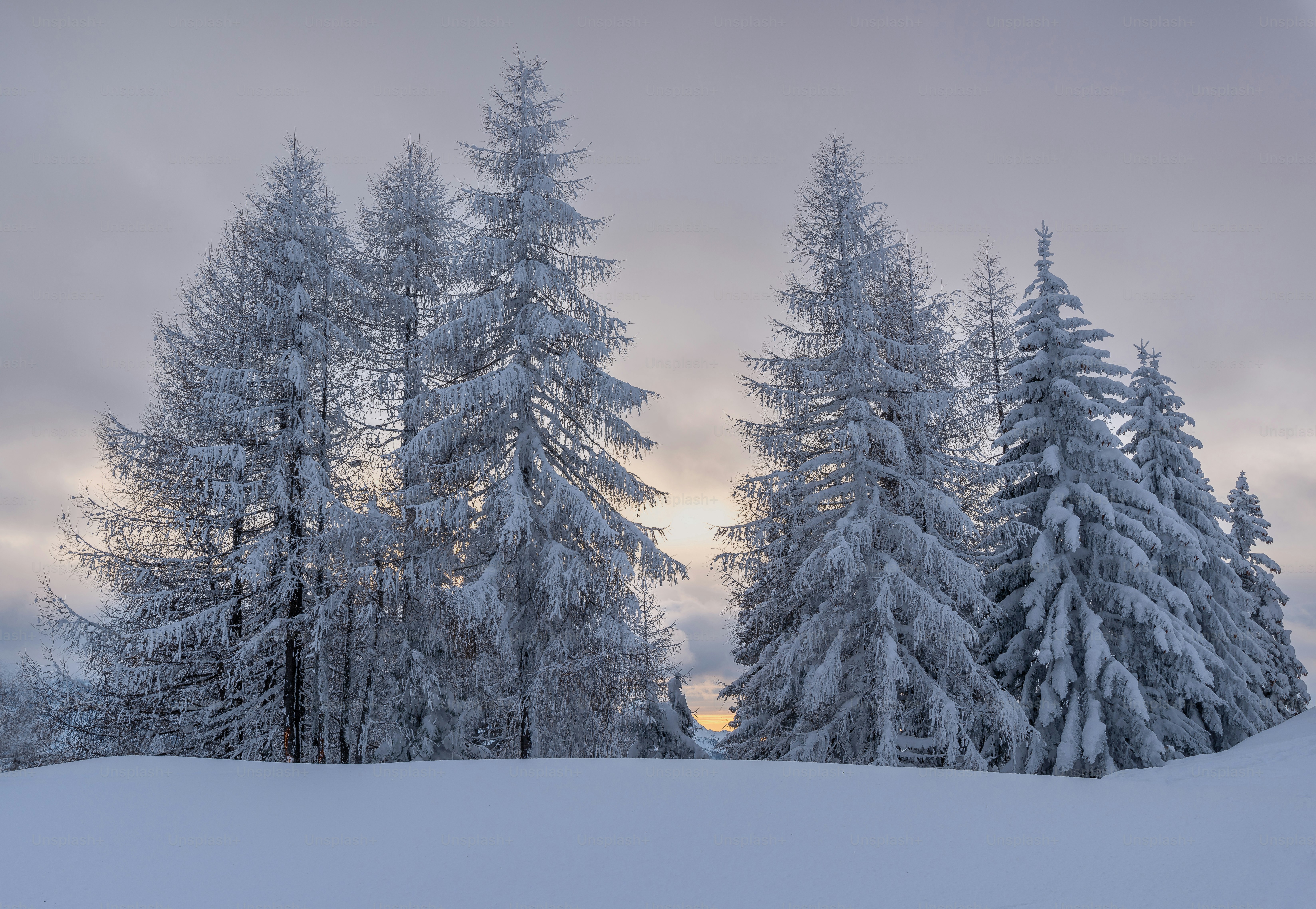 Winter Landscapes Pictures | Download Free Images on Unsplash