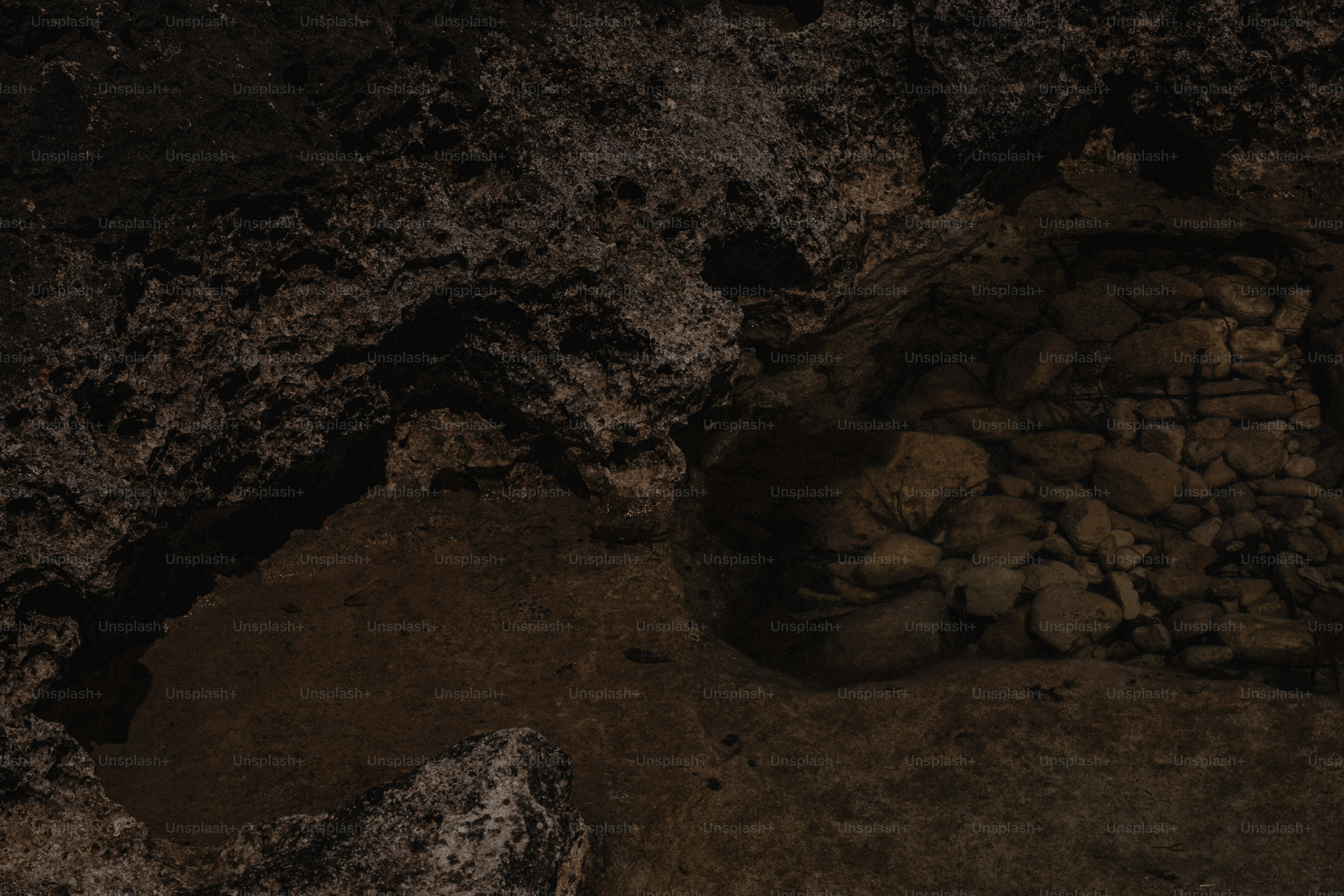 Old Chive Underground Pictures | Download Free Images on Unsplash