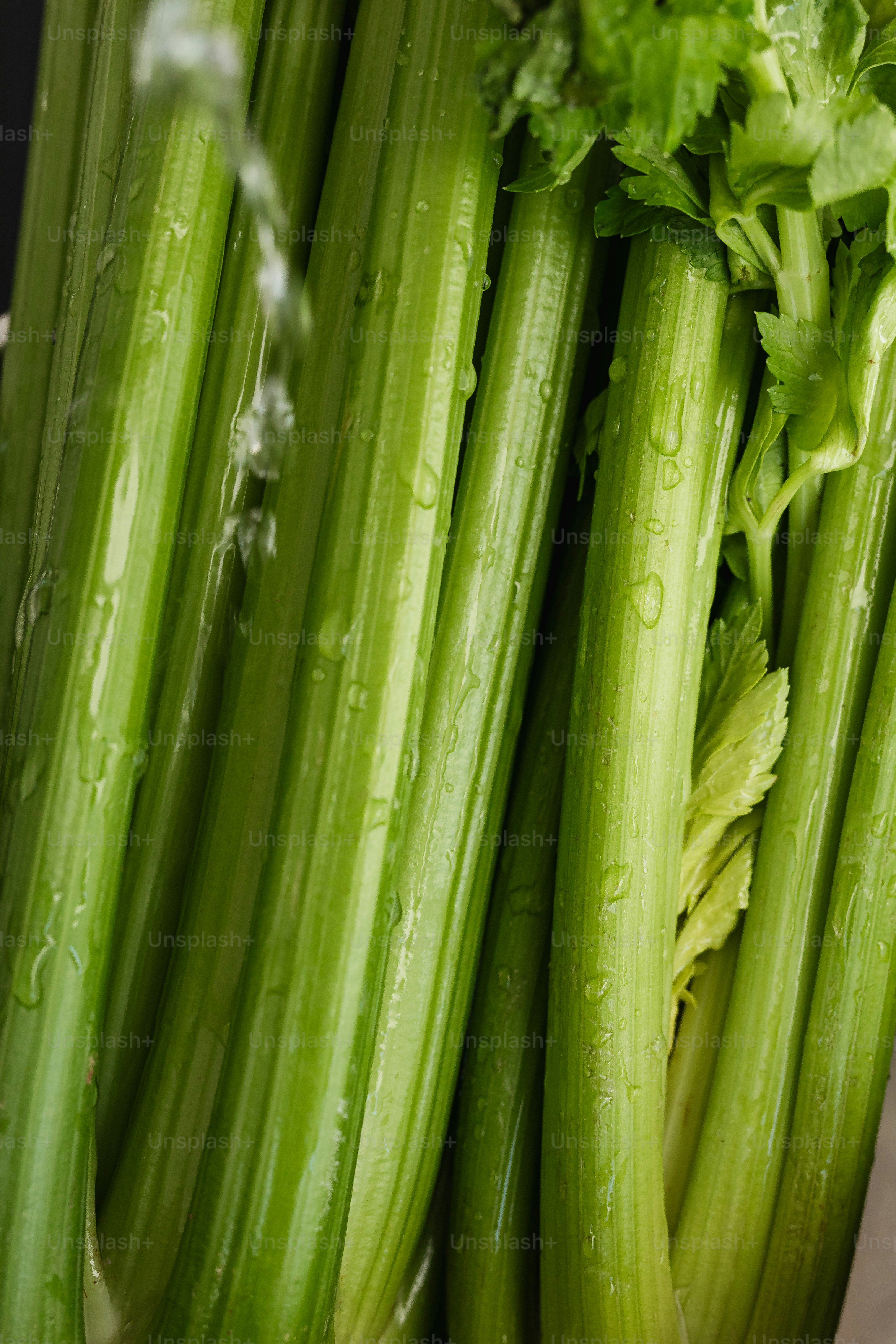 A bunch of celery sitting on top of a table photo – Food Image on Unsplash