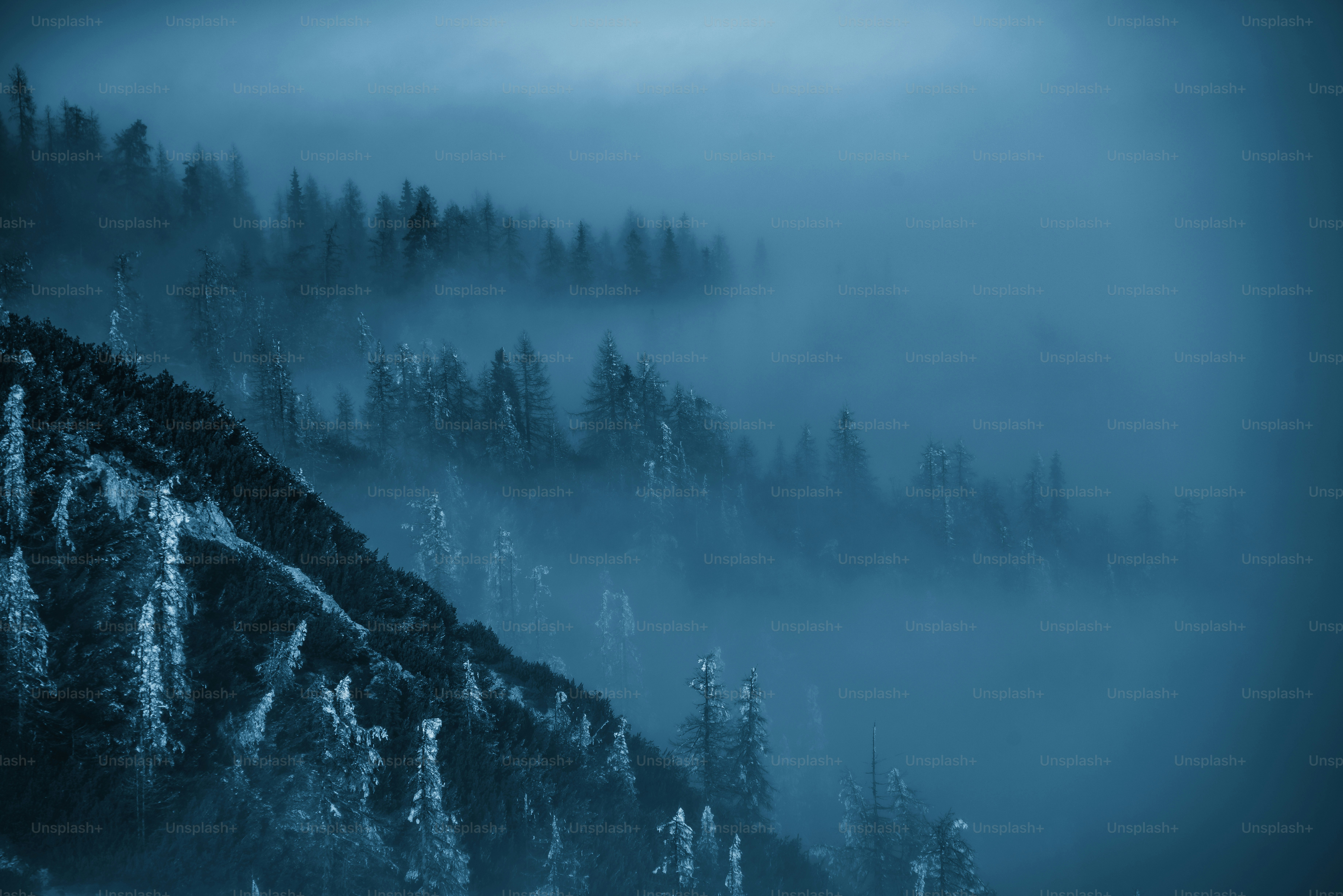 A foggy mountain with trees covered in snow photo – Wallpaper Image on ...