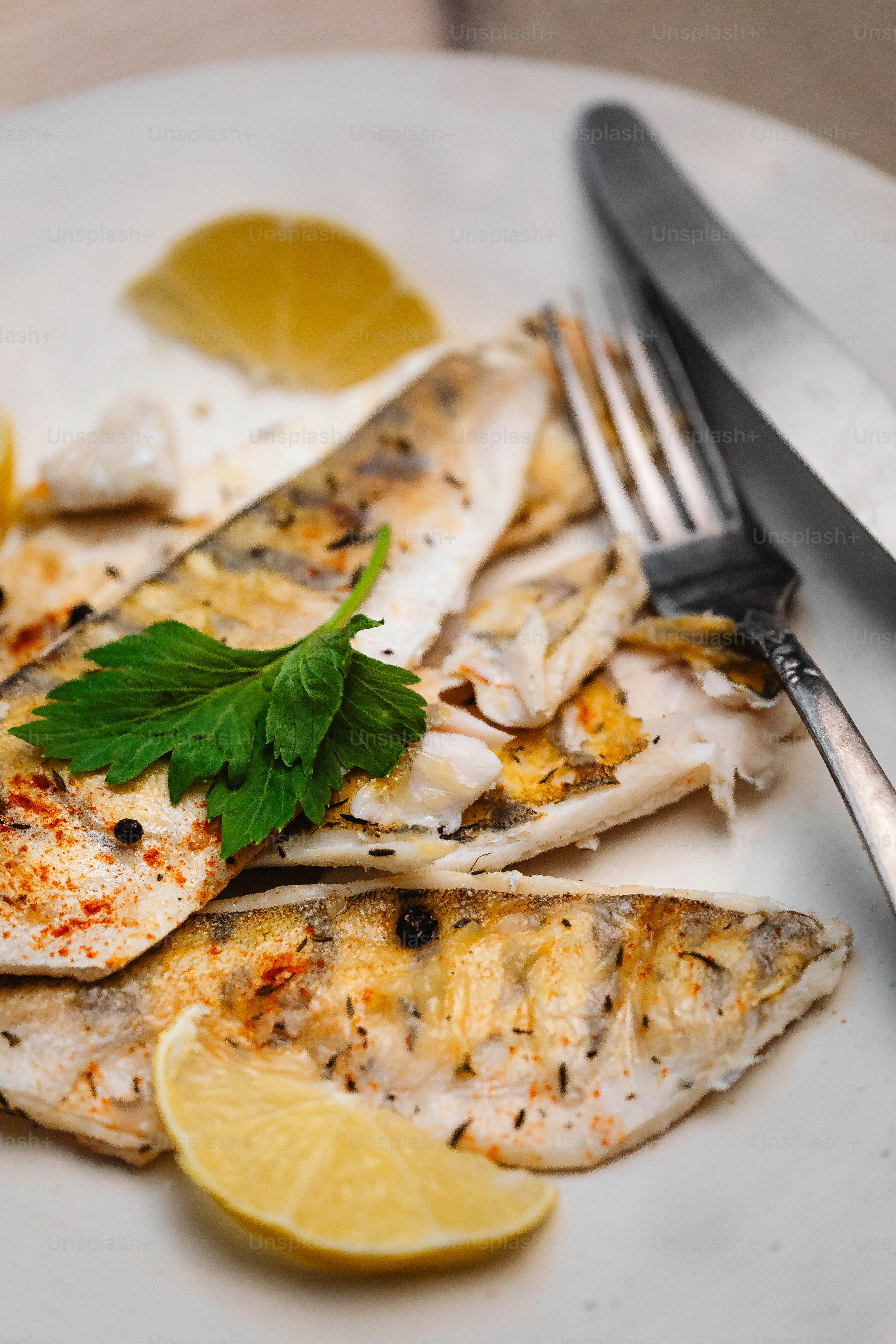 White Fish Pictures | Download Free Images on Unsplash