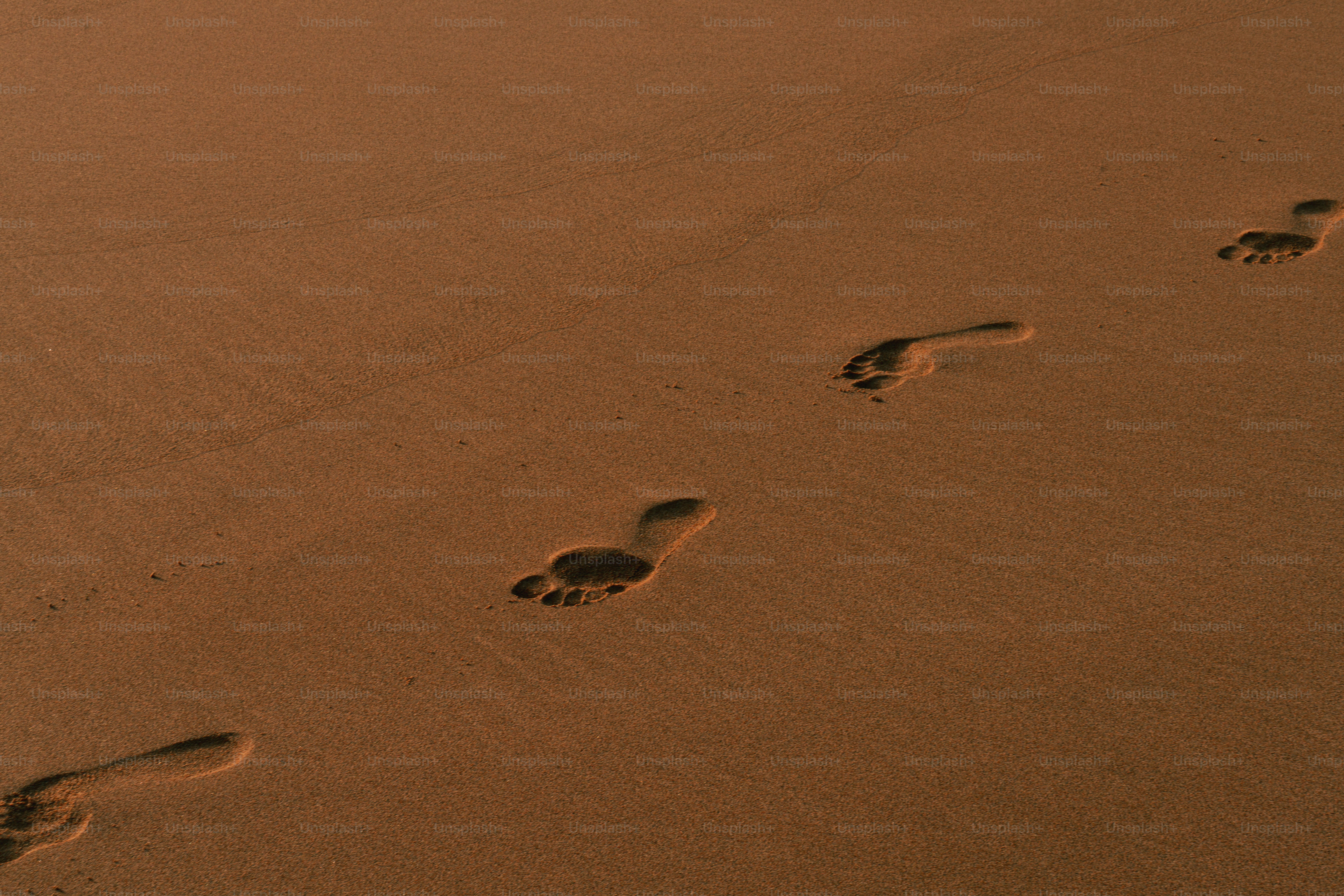 Footprints Pictures | Download Free Images on Unsplash
