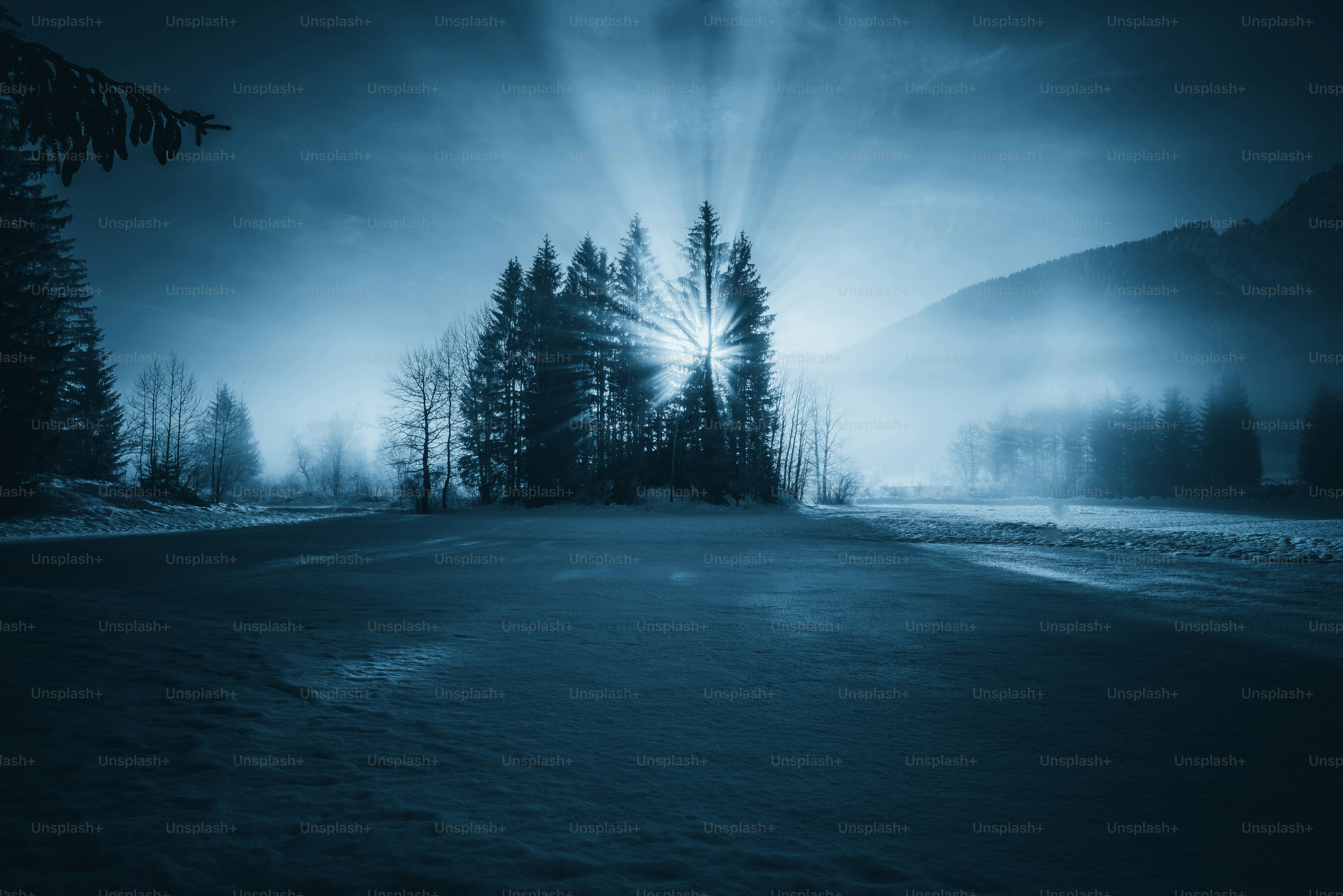 Un campo innevato con alberi e montagne sullo sfondo foto – Immagine di ...