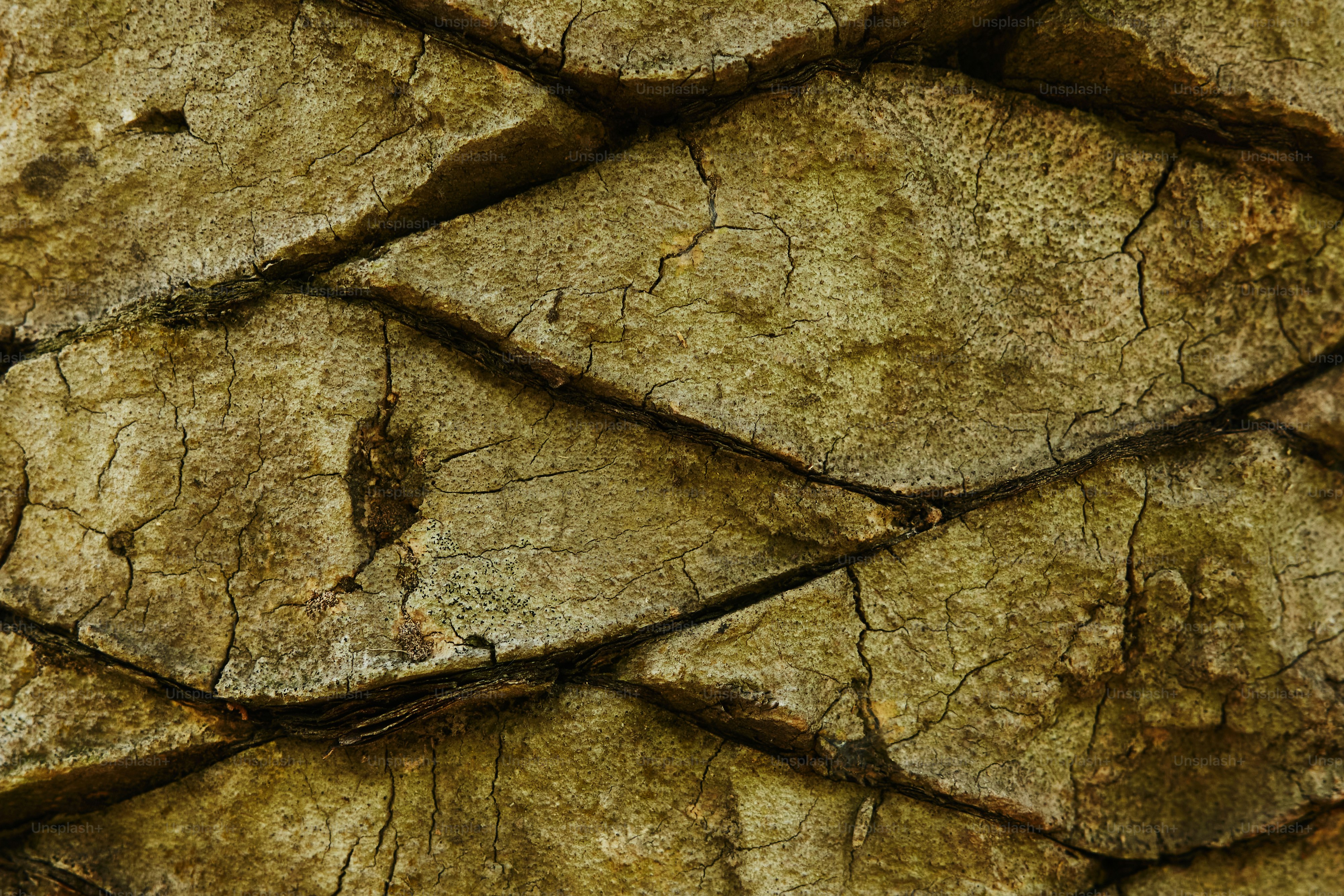 A close up of a rock with cracks in it photo – Nature Image on Unsplash