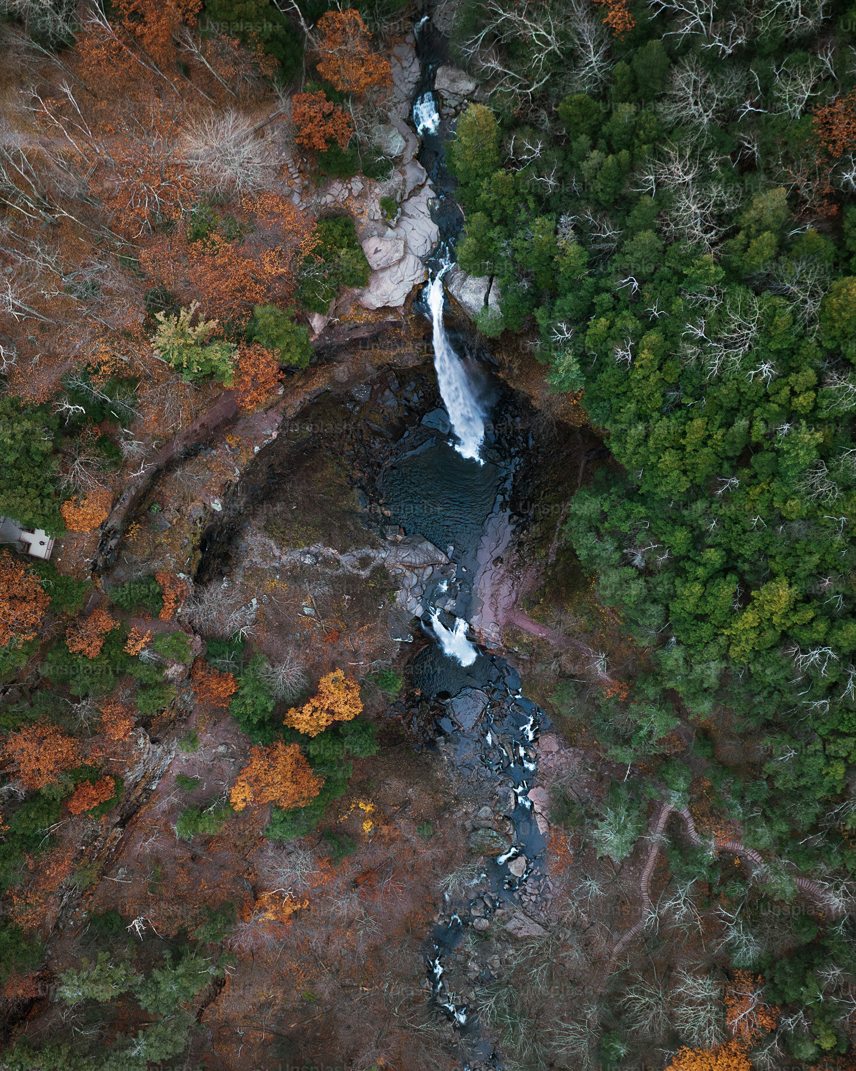 Foto Una vista aérea de un río que atraviesa un bosque – Norte del ...