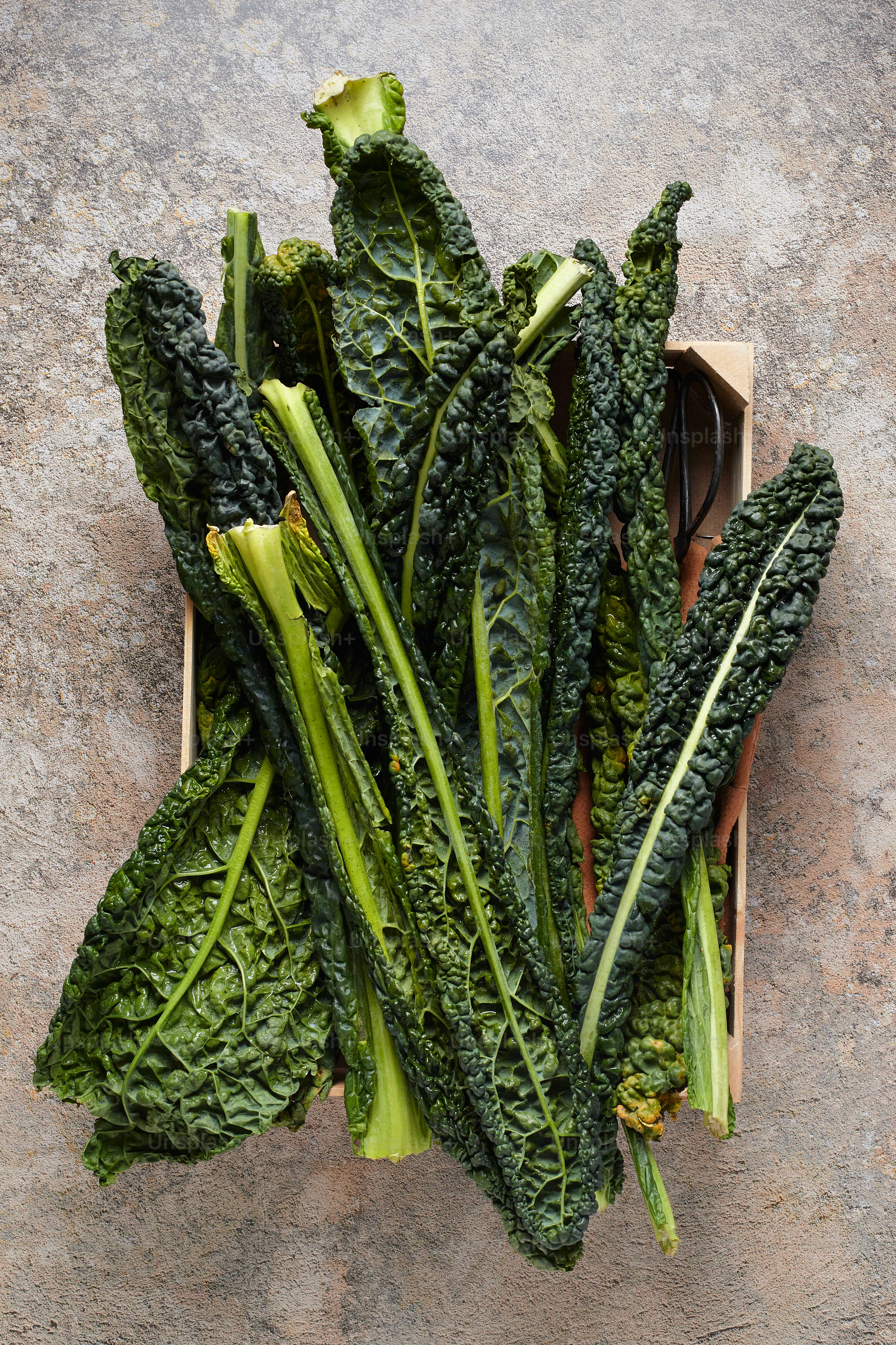 A wooden box filled with lots of green vegetables photo – Kale Image on ...