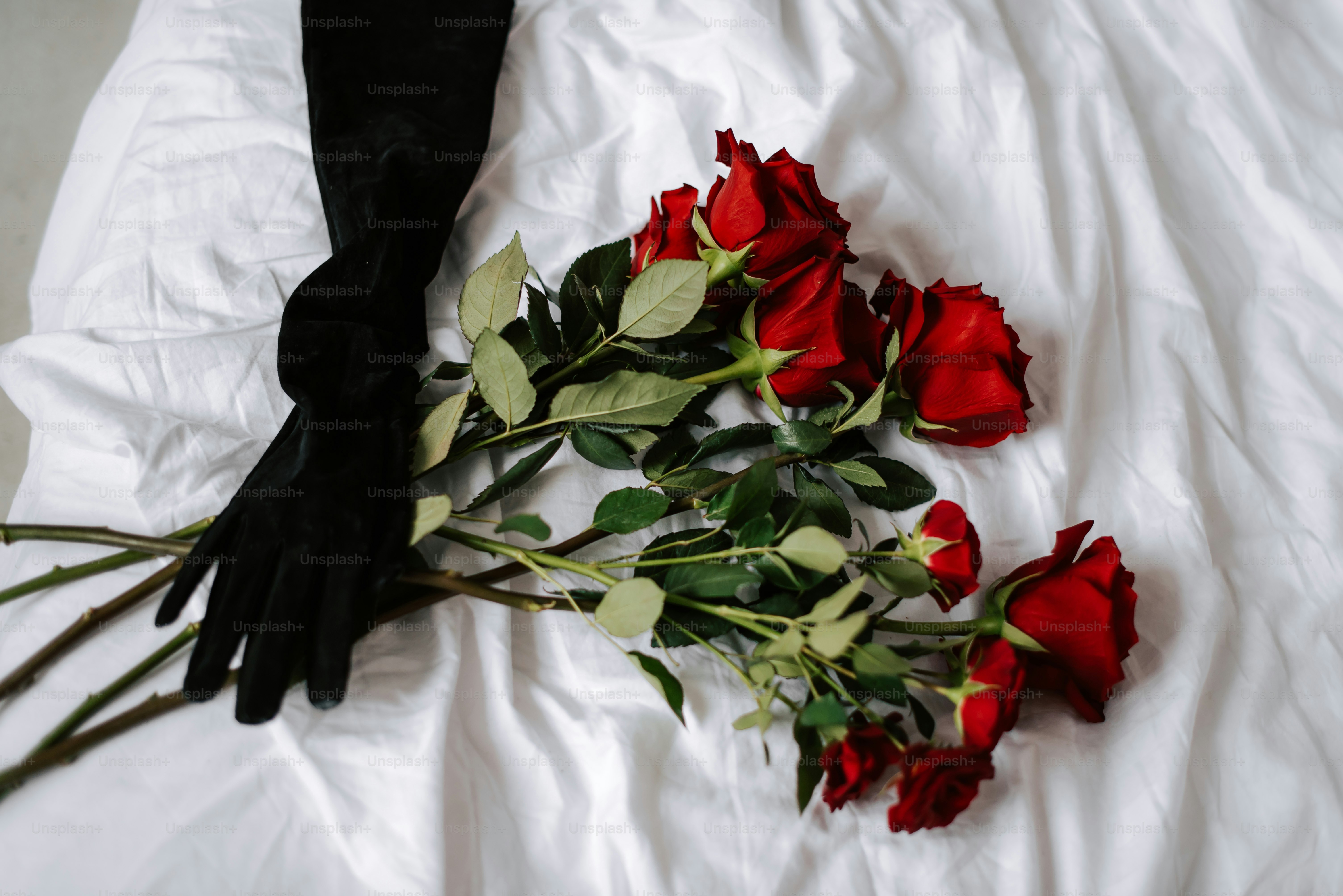 A bunch of roses that are laying on a bed photo – Gloves Image on Unsplash