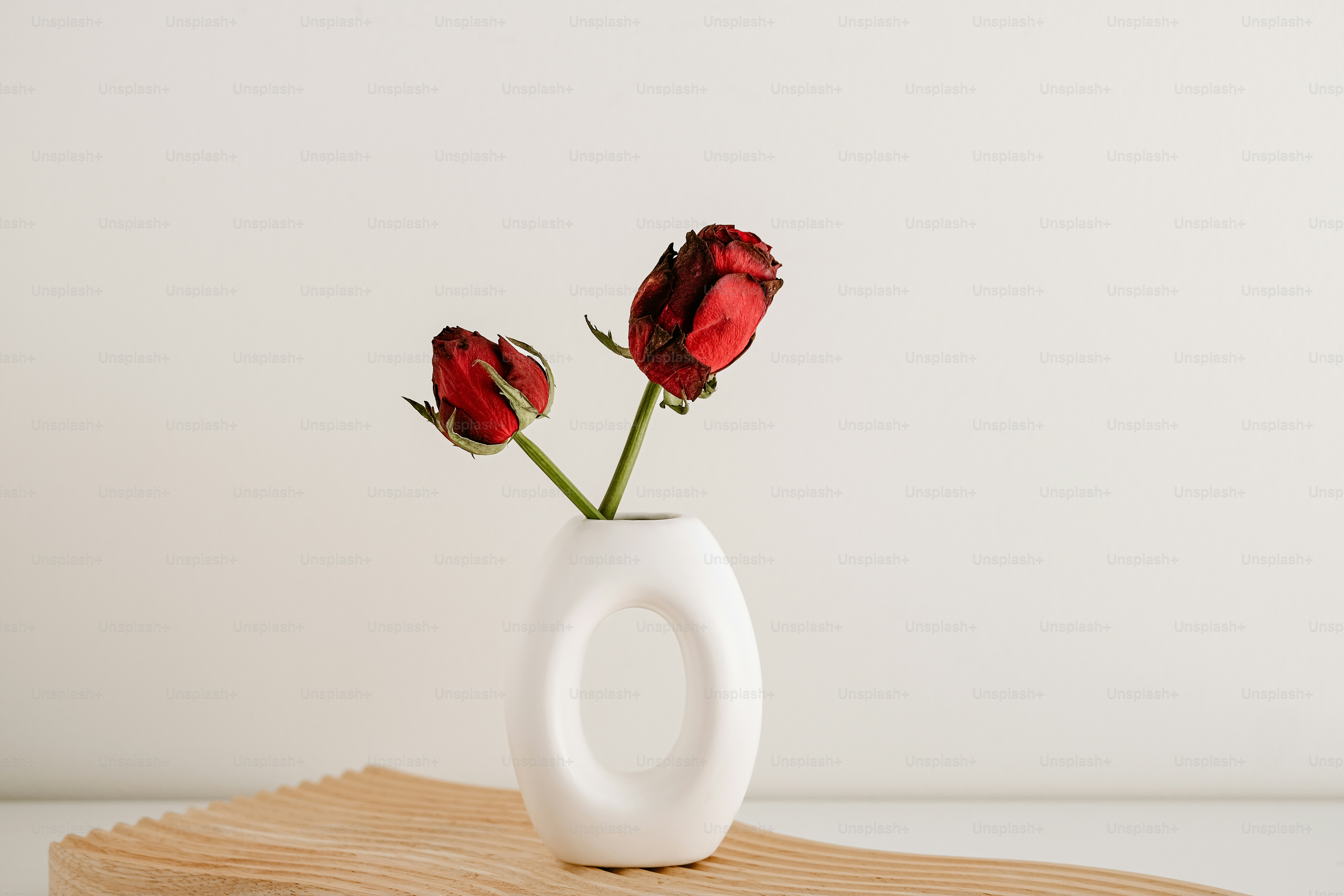 A white vase with three red roses in it photo – Rose Image on Unsplash